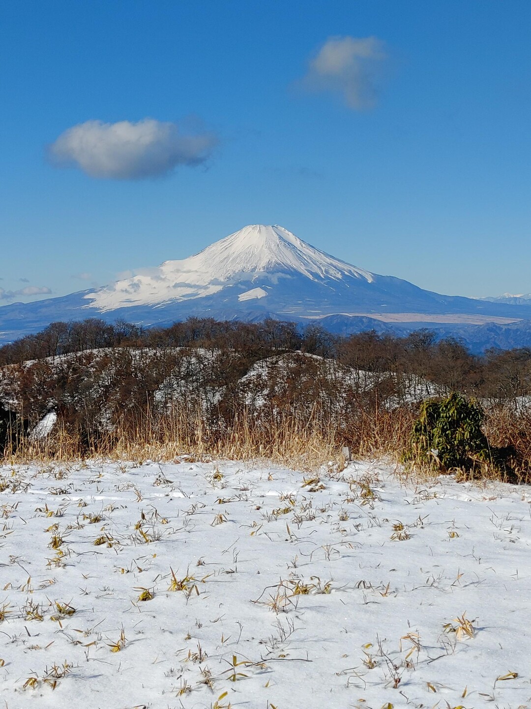 塔ノ岳・丹沢山 / dodoさんの塔ノ岳・丹沢山・蛭ヶ岳の活動データ | YAMAP / ヤマップ