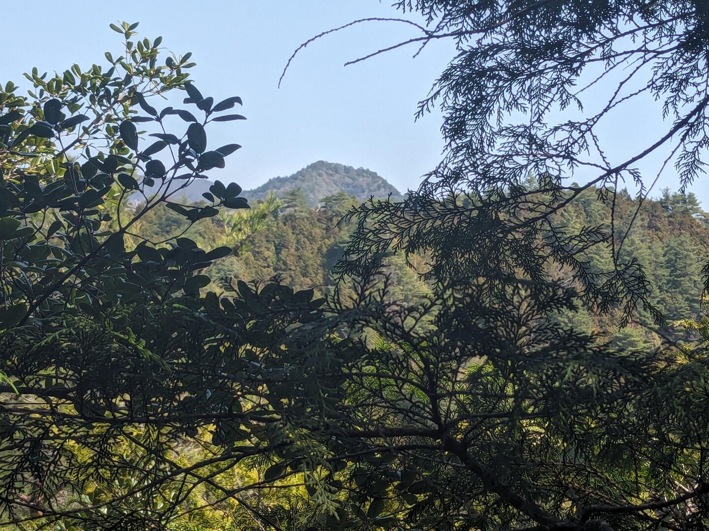 😀五大尊岳💦関西百名山#93 / "satoh"さんの五大尊岳の活動データ | YAMAP / ヤマップ