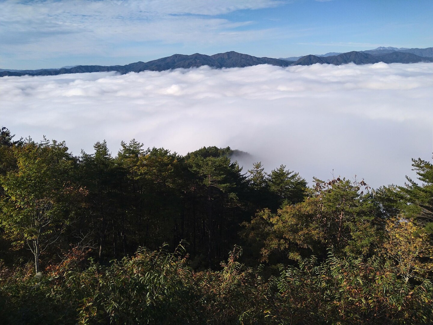 安峰山 / koniさんの松倉山の活動データ | YAMAP / ヤマップ