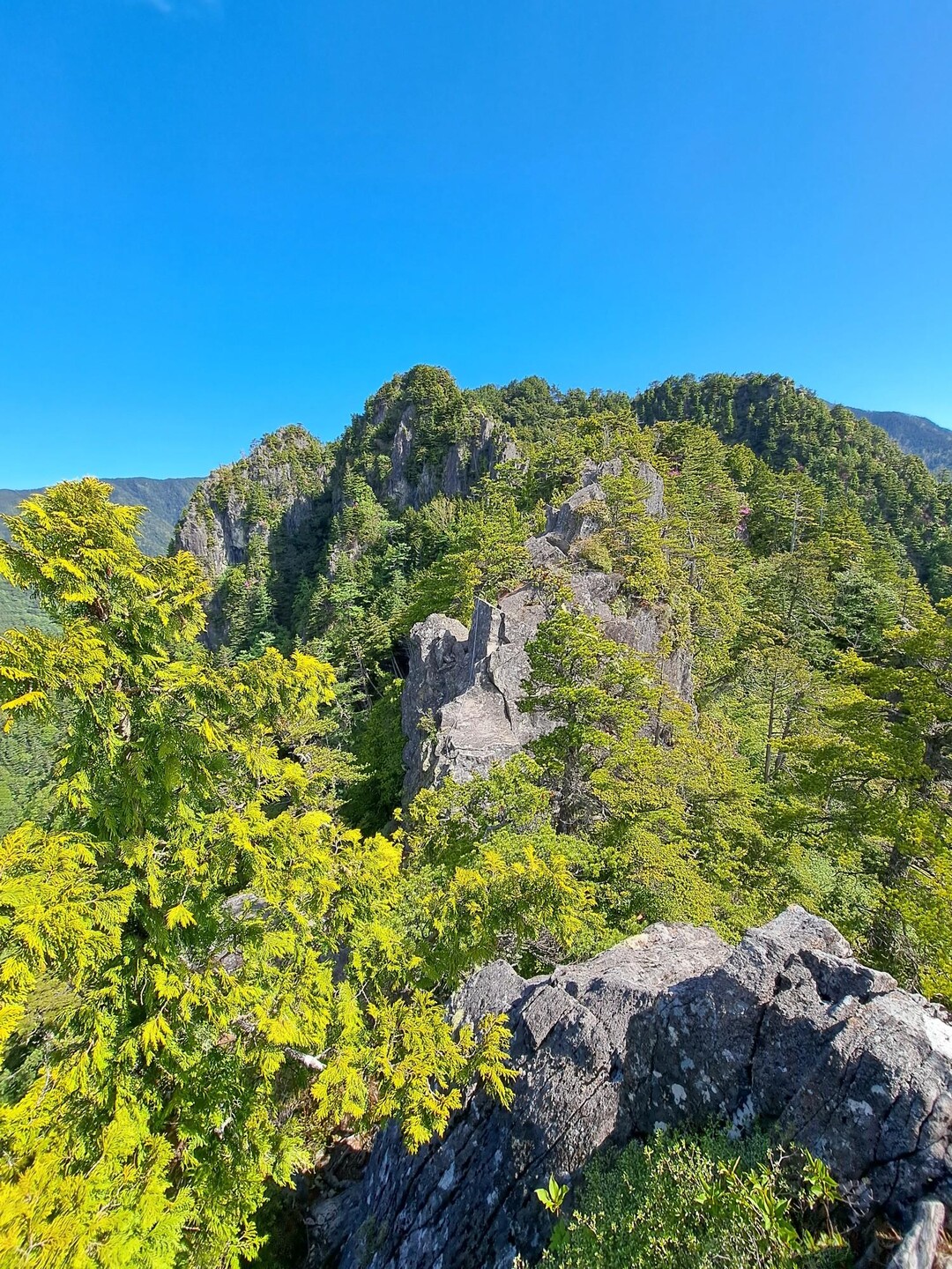鶏冠山（第三岩峰ピーク）・鶏冠山・木賊山は手強い そして甲武信ヶ岳へ / ふG3さんの甲武信ヶ岳の活動データ | YAMAP / ヤマップ