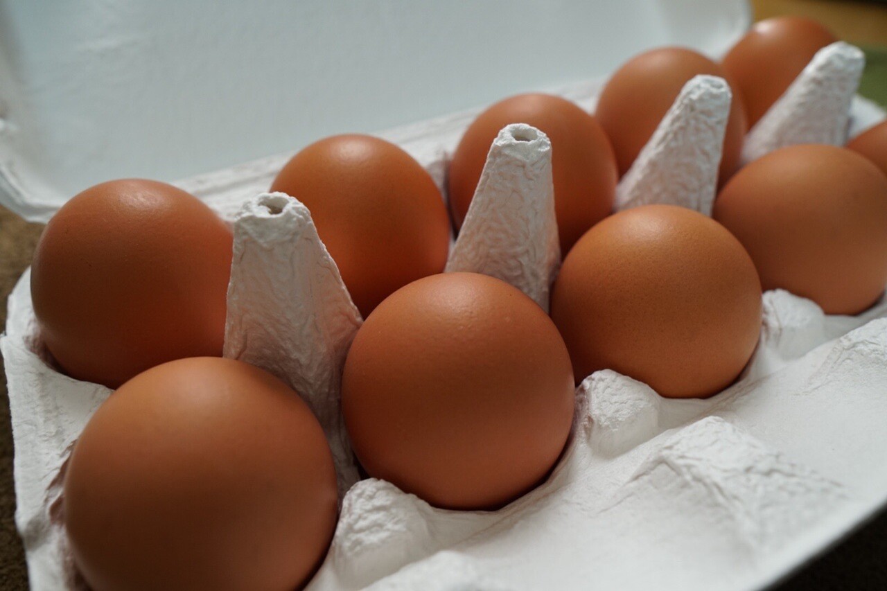 ずっと気になりつつしていなかった、ふるさ... / Latteさんのモーメント | YAMAP / ヤマップ