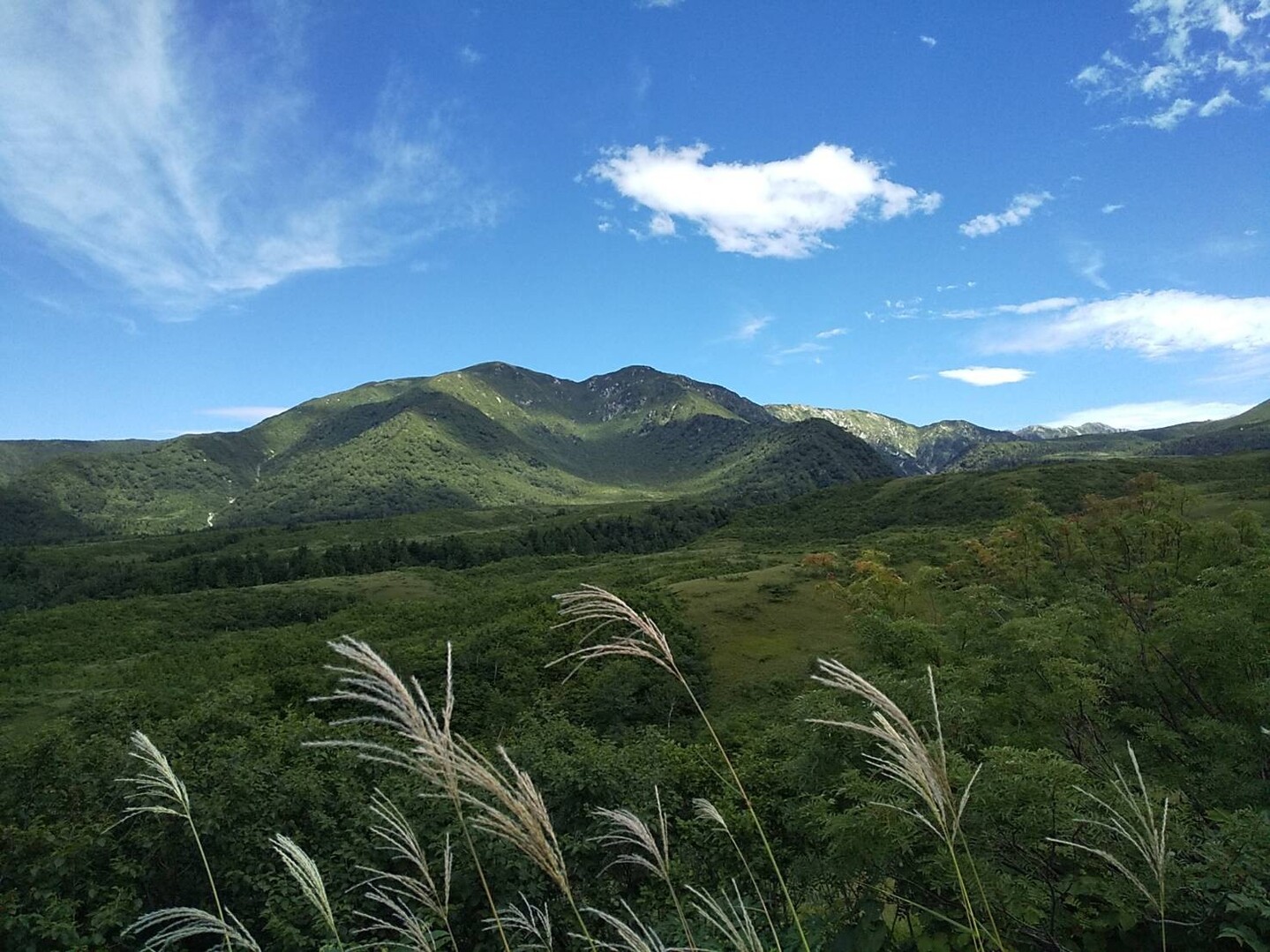 emikoroの活動日記一覧 | YAMAP / ヤマップ