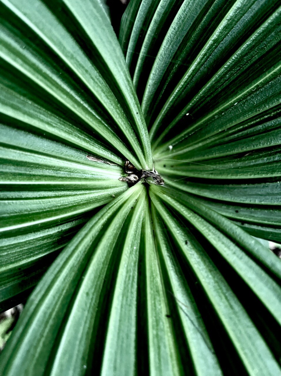 SOLAのページ | YAMAP / ヤマップ