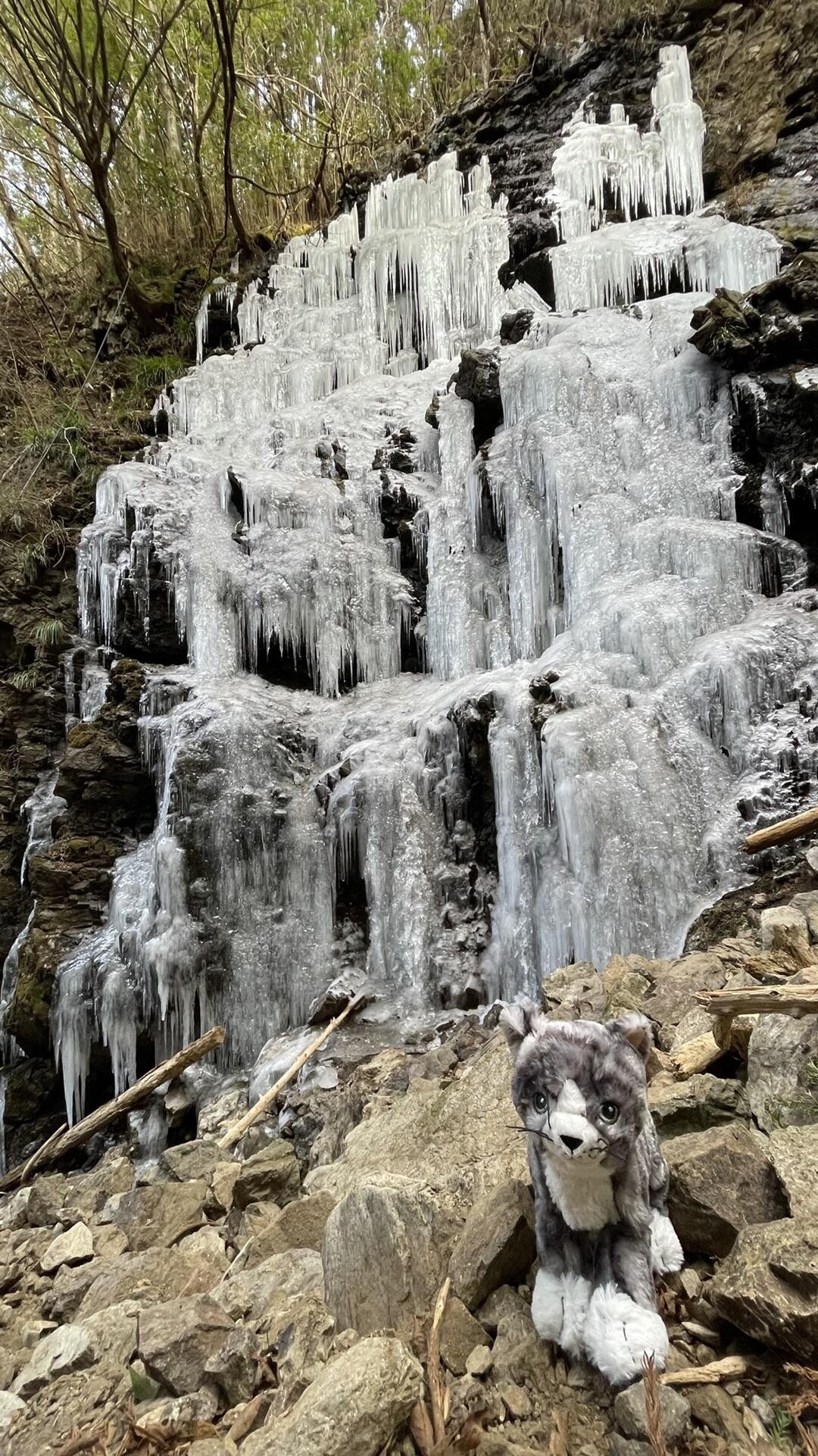 真富士山-2023-02-07 / pickji28さんの真富士山の活動データ | YAMAP / ヤマップ