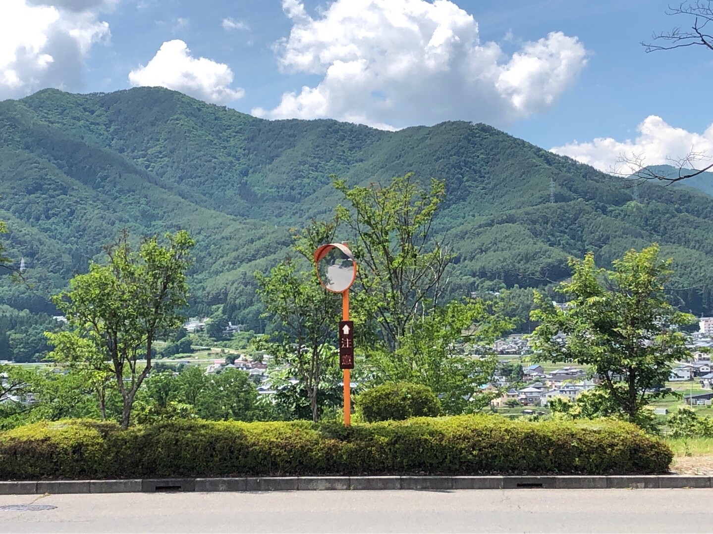 楡沢山1248m / M K1218さんの桑沢山の活動データ | YAMAP / ヤマップ