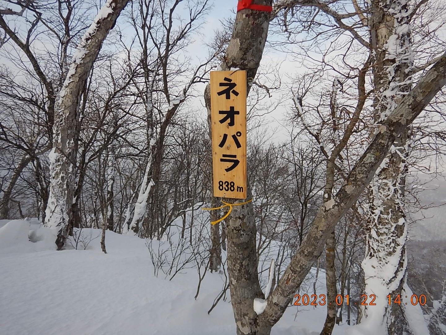 ネオパラ / came-ponさんの手稲山・奥手稲山の活動データ | YAMAP / ヤマップ