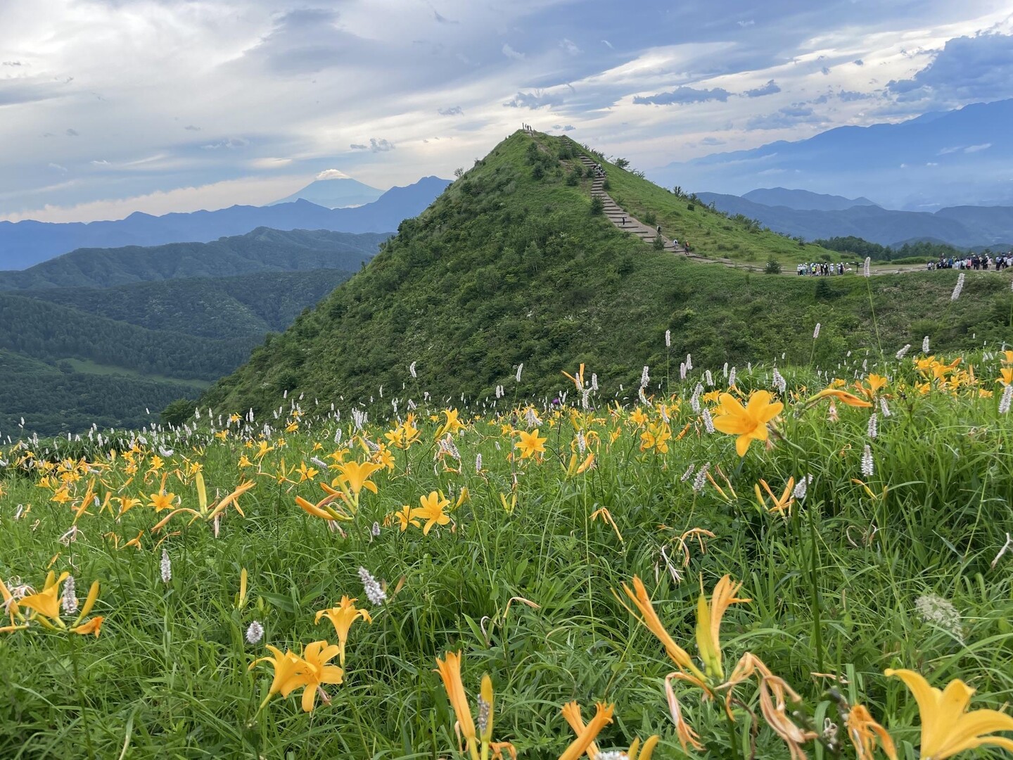 飯盛山・大盛山・平沢山 / JJさんの飯盛山の活動データ | YAMAP / ヤマップ