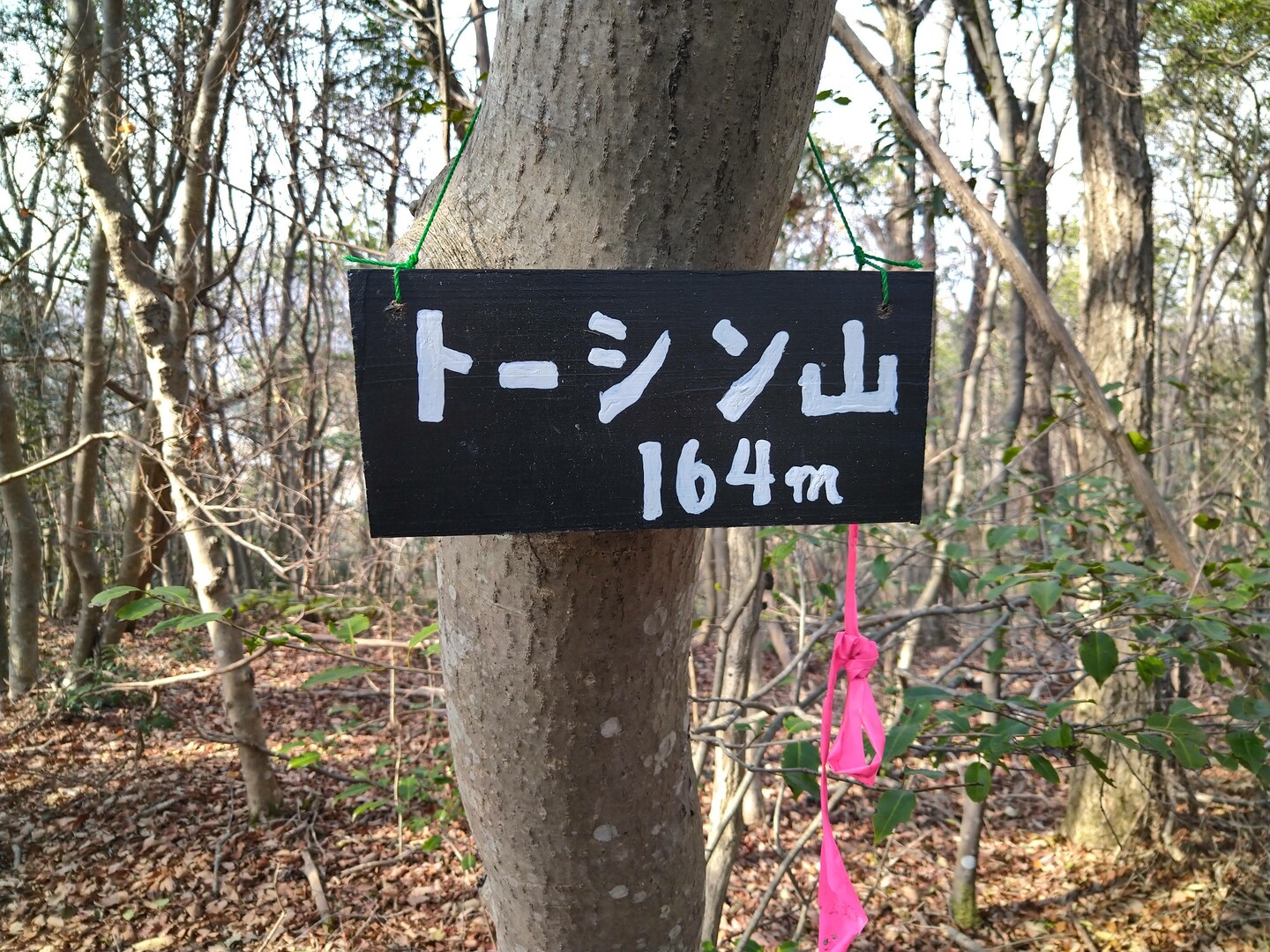 トーシン山 / J.Majimaさんの明石市・加古川市・高砂市の活動データ | YAMAP / ヤマップ