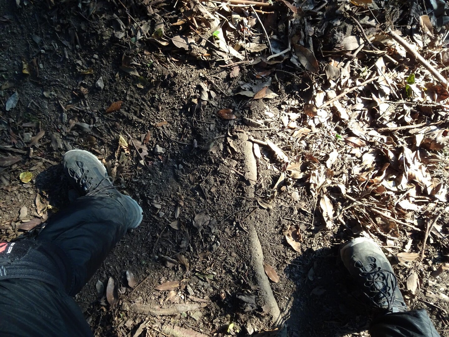 16回目 #ソロ登山レポート 2 ... / OKさんのモーメント | YAMAP / ヤマップ