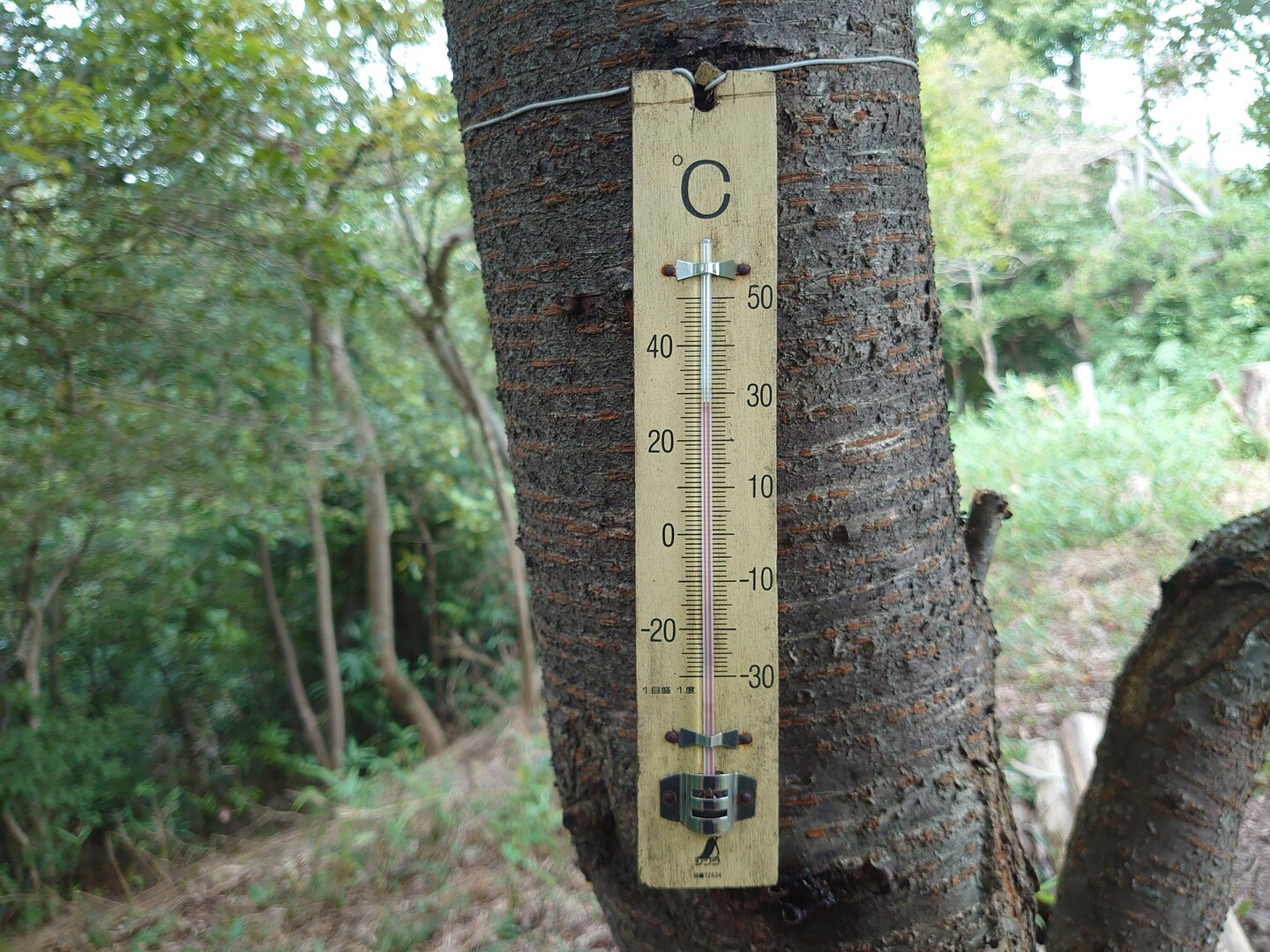 西谷山・国見嶺・日高山 / NKさんの交野山・国見山の活動データ | YAMAP / ヤマップ