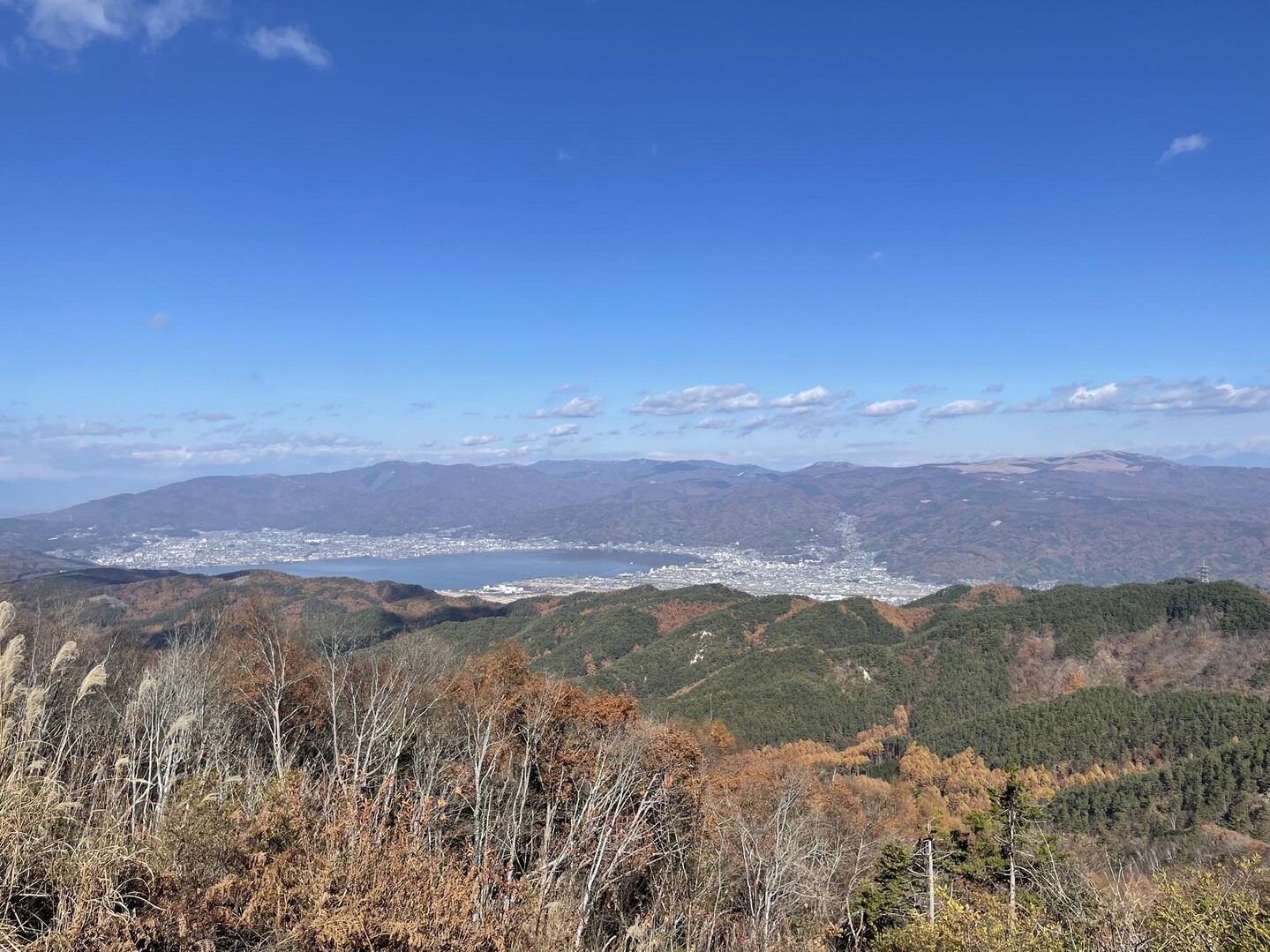 守屋山・守屋山中嶽・守屋山東峰 / shiさんの守屋山の活動データ | YAMAP / ヤマップ