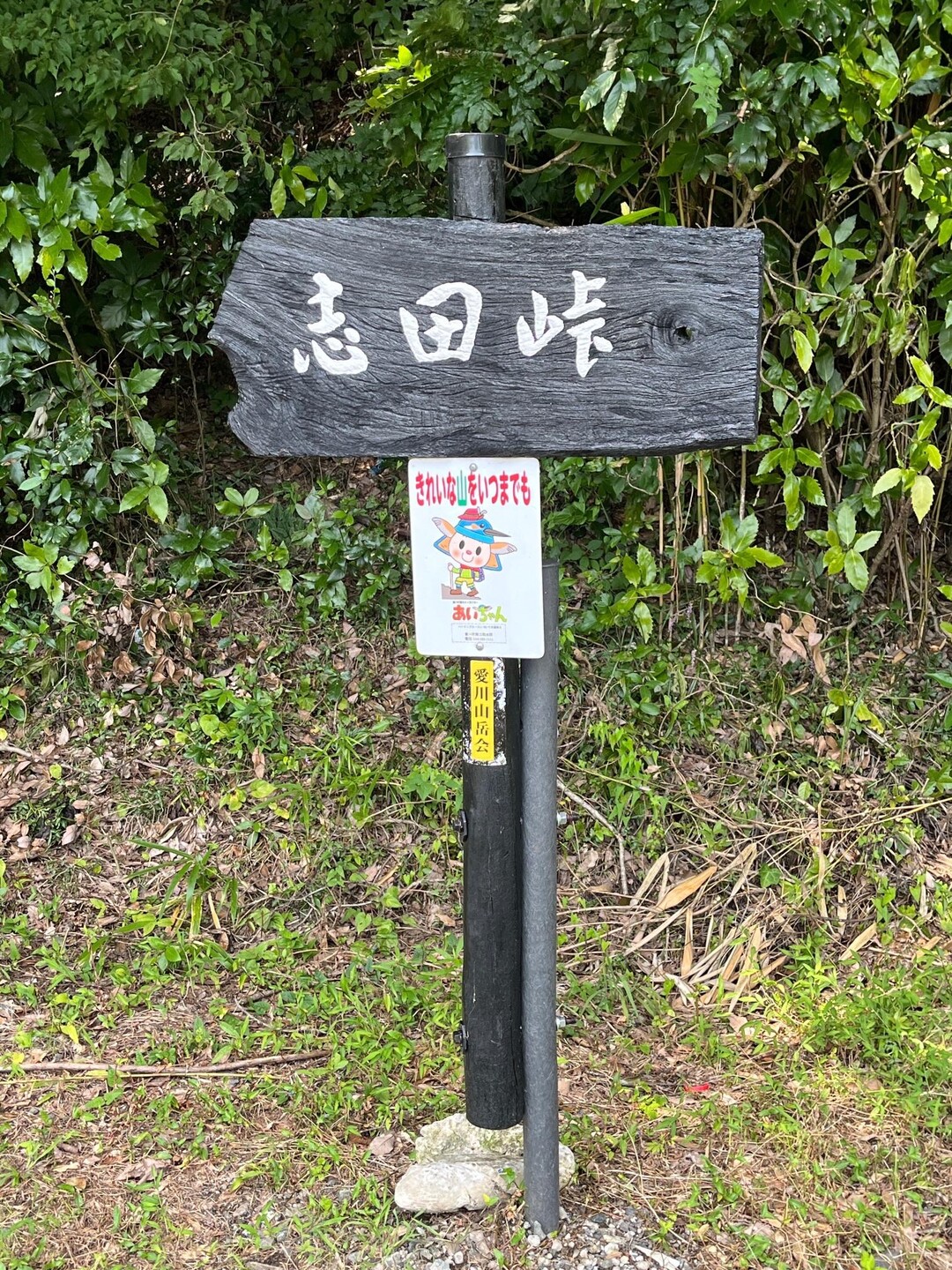 志田峠を目指す♪♪ / asamiさんの塔ノ岳・丹沢山・蛭ヶ岳の活動データ | YAMAP / ヤマップ