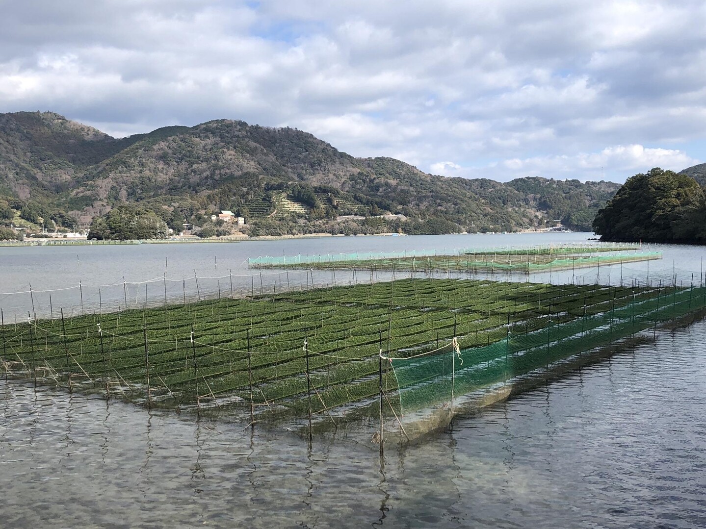 鶴路山 / pixyさんの鶴路山の活動データ | YAMAP / ヤマップ