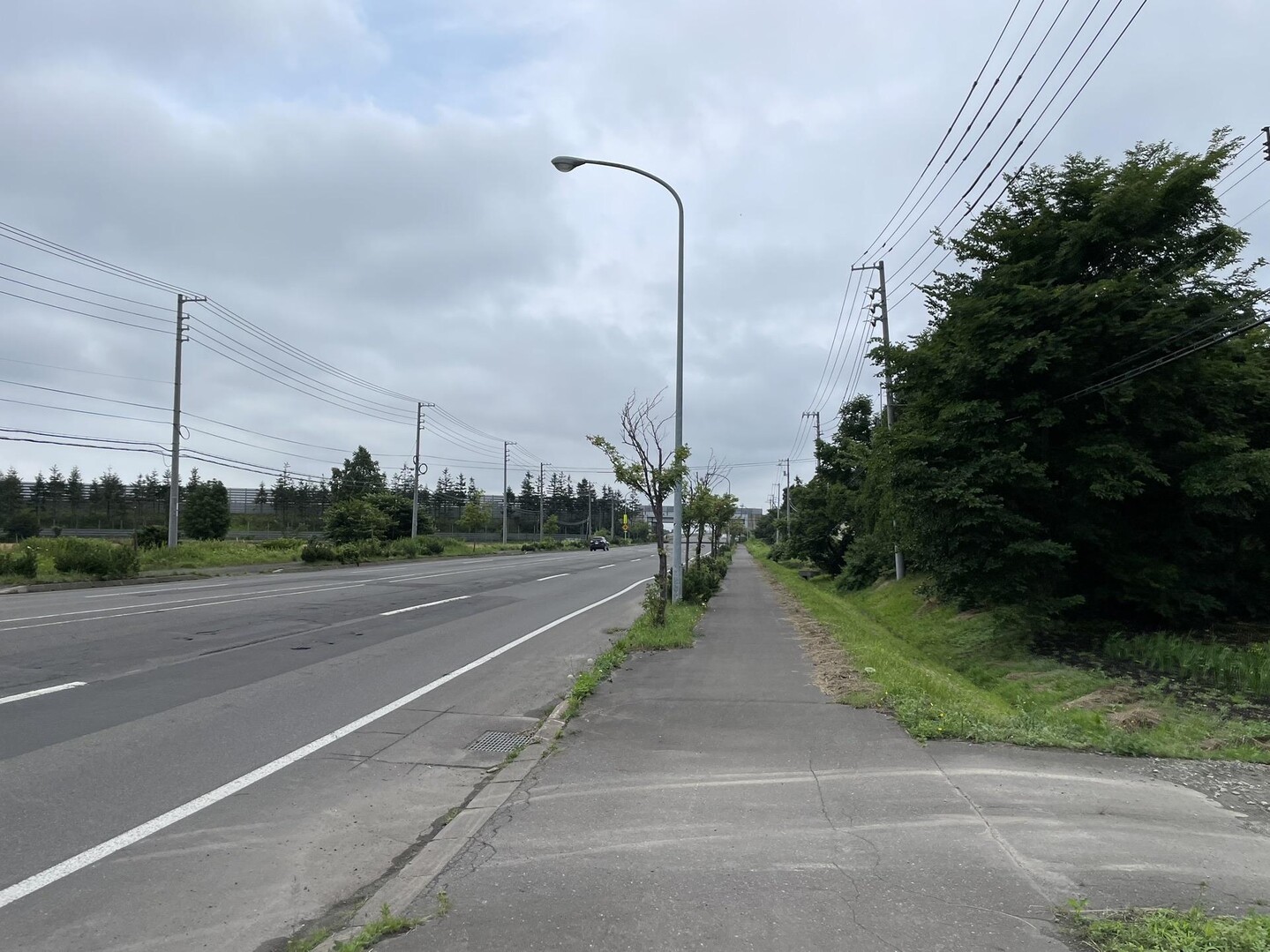 AMランニング-2023-07-16 / スノーデンさんのランニングの活動データ | YAMAP / ヤマップ