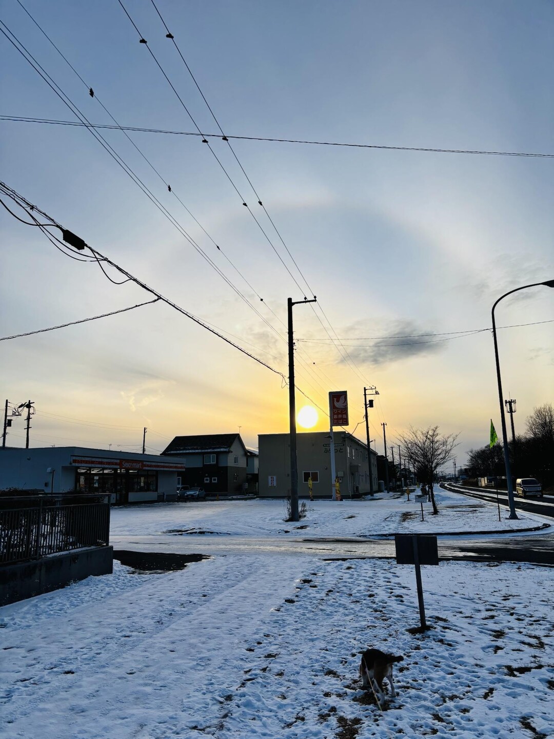 昨日(1/5)の太陽☀️やっぱり天気は崩... / K.TANAKAさんのモーメント | YAMAP / ヤマップ