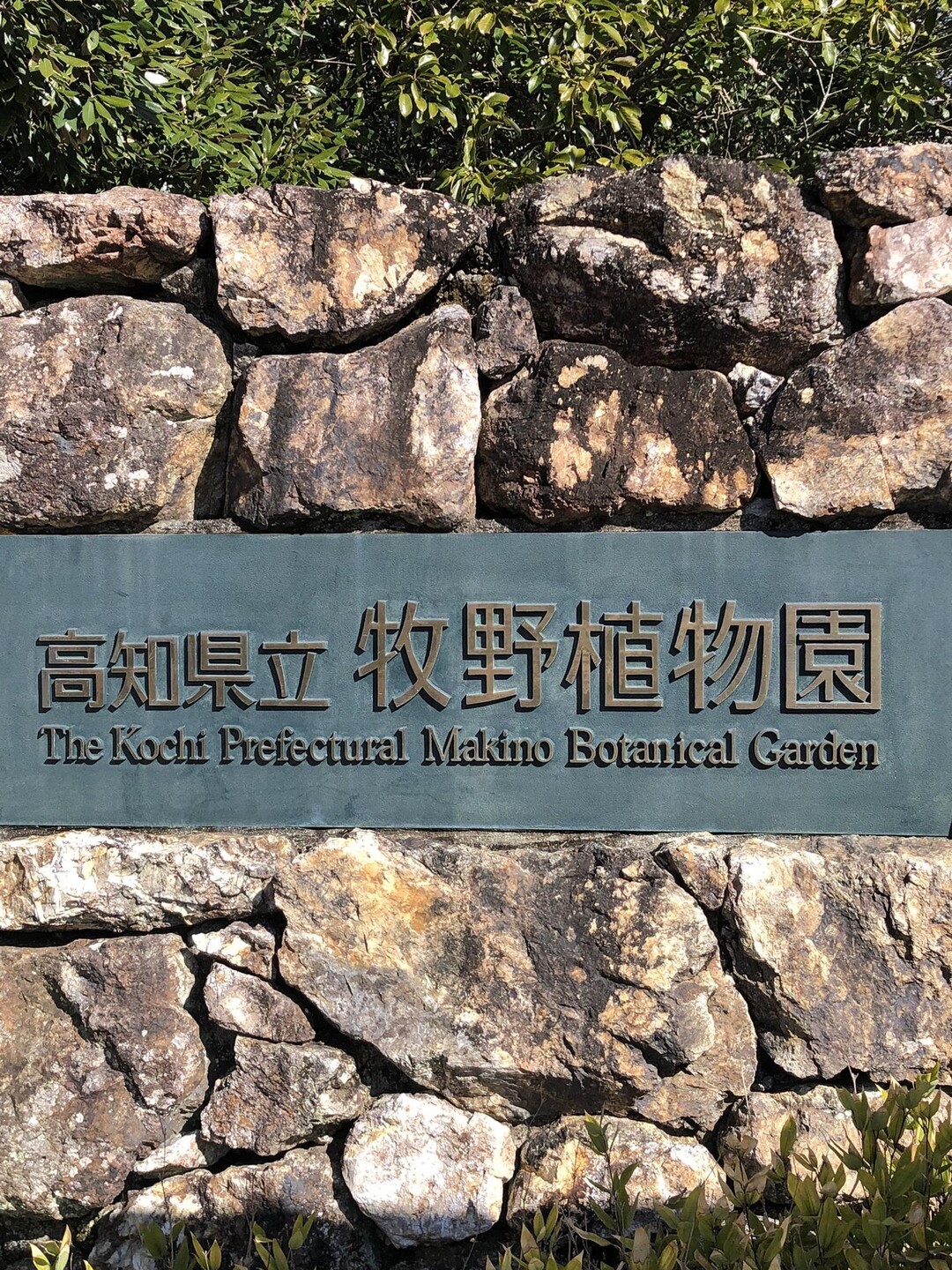 2024.2.16牧野植物園へ🌱 / モコさんのモーメント | YAMAP / ヤマップ