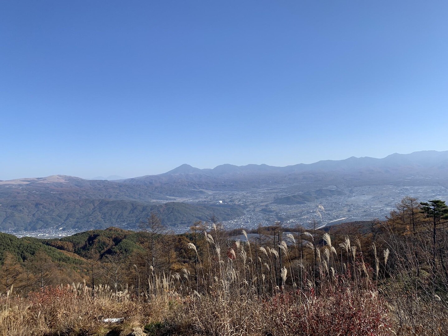 守屋山東峰・守屋山中嶽・守屋山・守屋山前嶽 / S.T-1103さんの守屋山の活動データ | YAMAP / ヤマップ