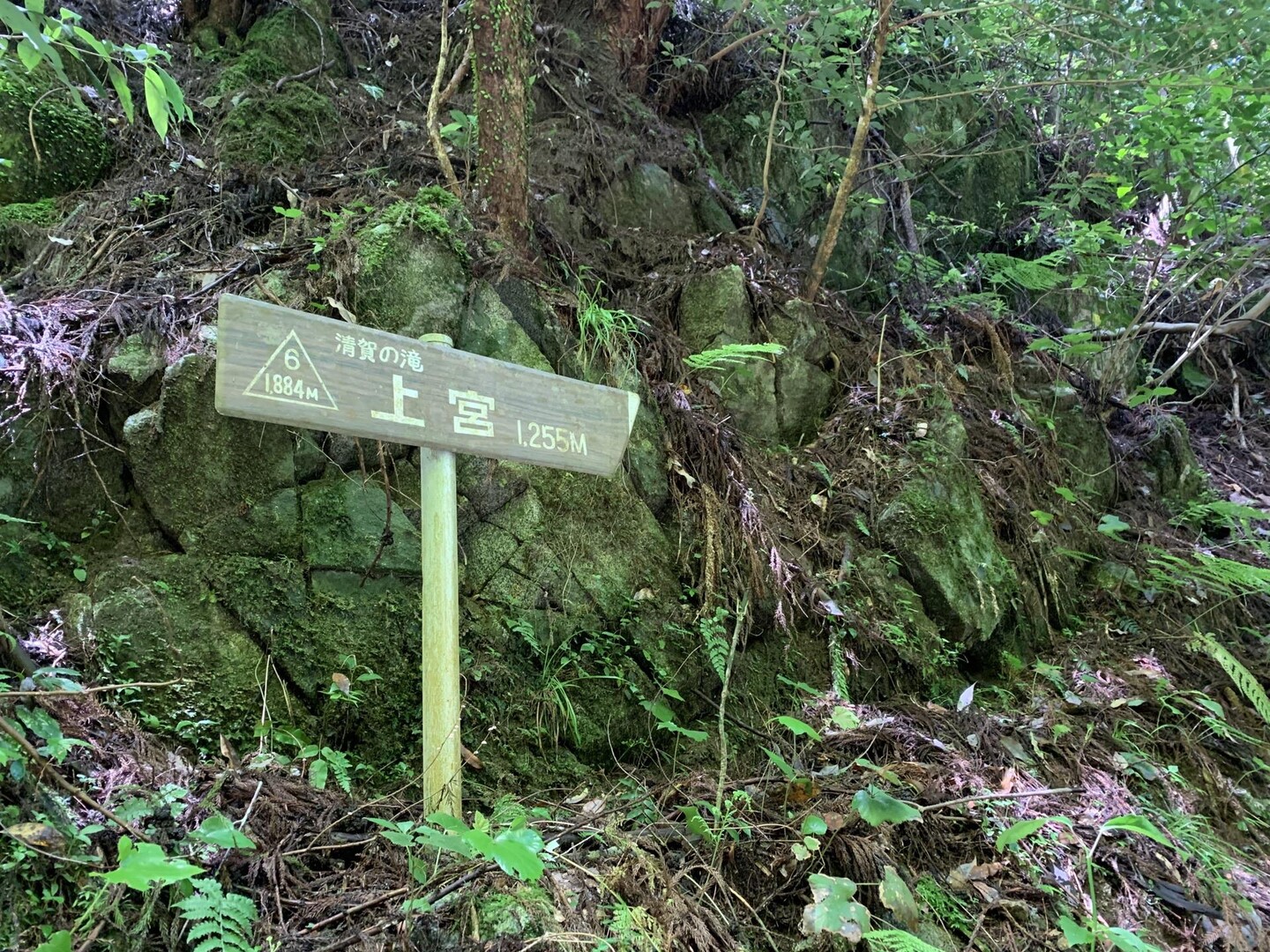 2nd 雷山 ️ / 雷山・井原山の写真16枚目 / 上宮へ向かいます | YAMAP / ヤマップ