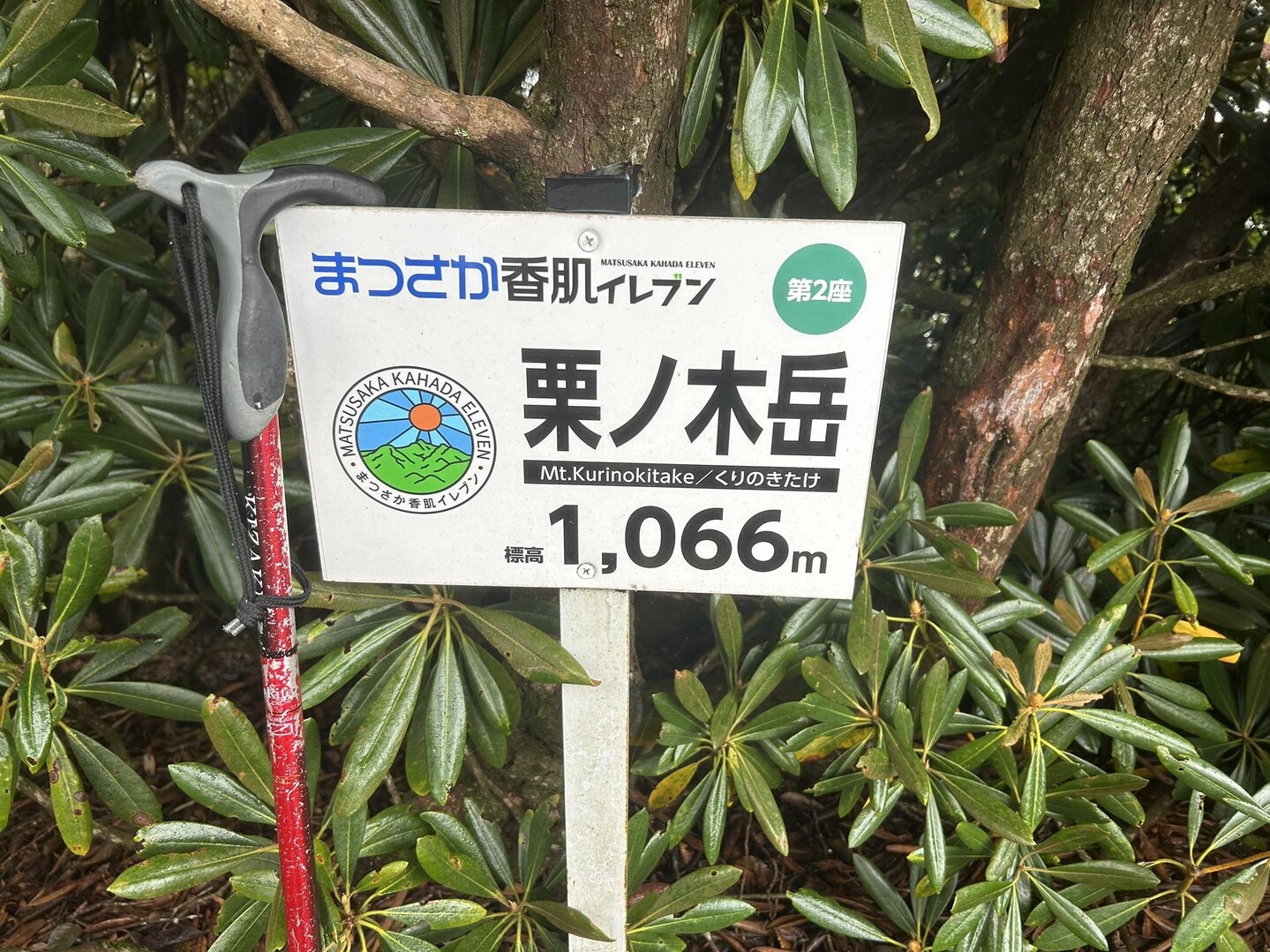 栗ノ木岳 / katuさんの局ヶ岳の活動データ | YAMAP / ヤマップ