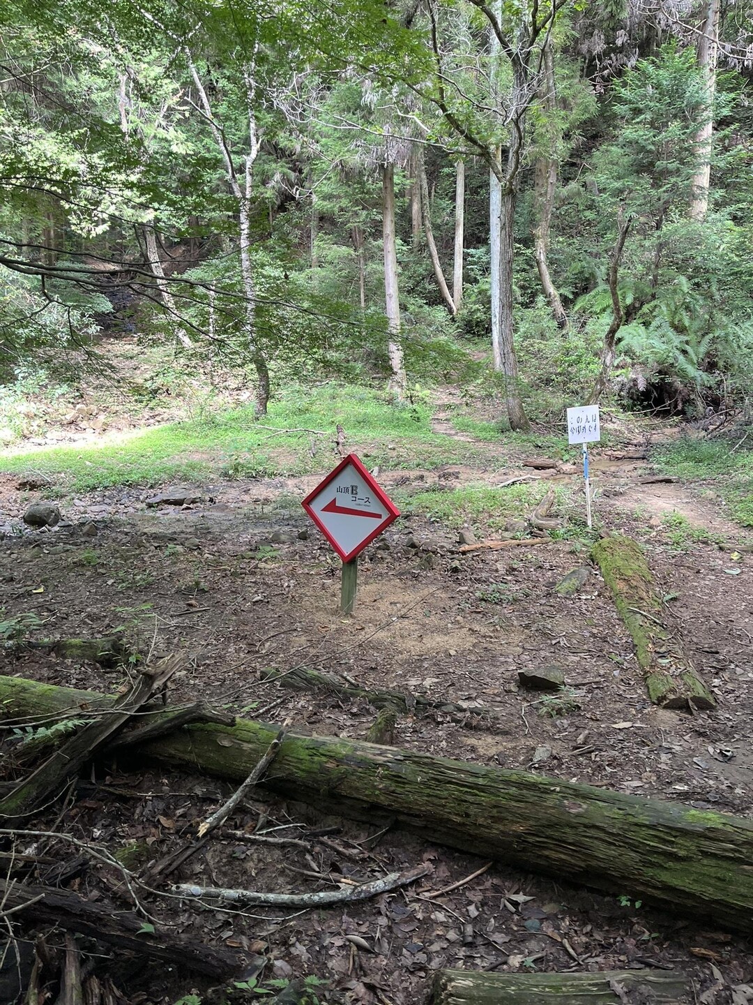 龍王山 / DC2 野郎さんの龍王山の活動データ | YAMAP / ヤマップ