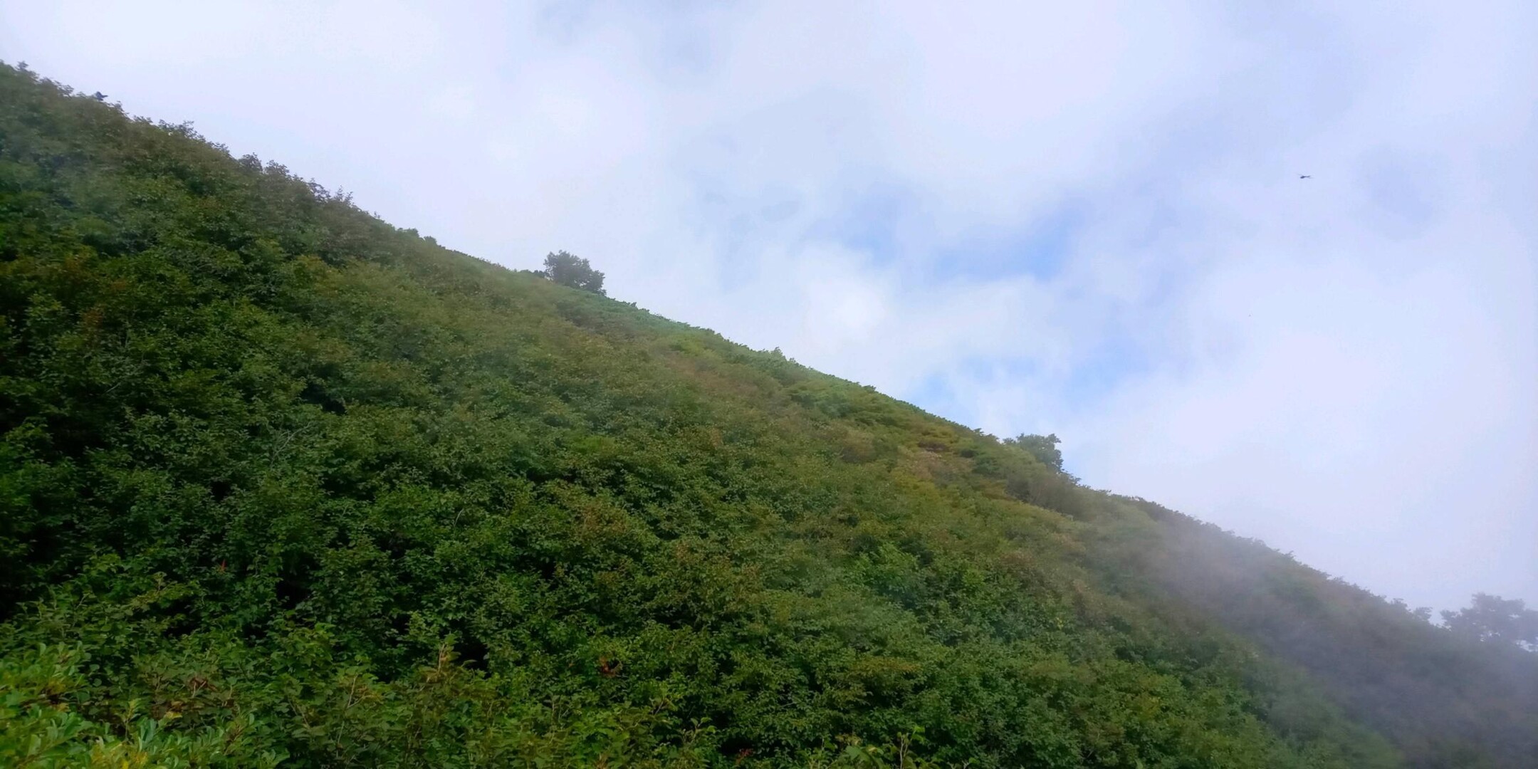 岩手山小屋番二回目 4日間 悪天候でも県... / bakkyさんのモーメント | YAMAP / ヤマップ