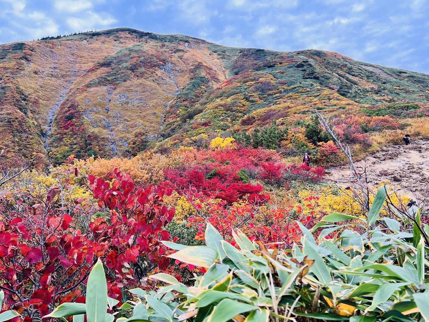 紅葉🍁50%‼️美し過ぎる巻機山 / 29sukiさんの巻機山・割引岳・金城山の活動データ | YAMAP / ヤマップ