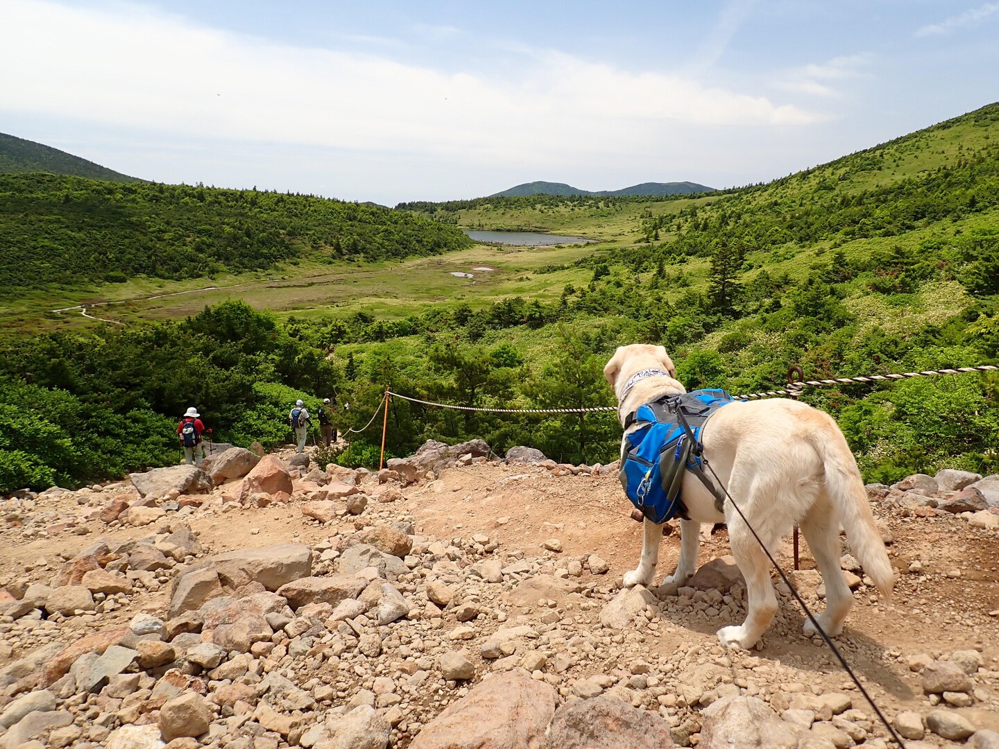 一切経山 ハックンQuest Ⅶ⚔️～魔女と瞳と暴れし犬たち / おちもりさんの吾妻山・一切経山の活動データ | YAMAP / ヤマップ