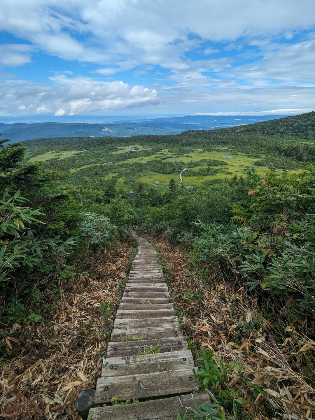 八甲田山 周回[百名山] / tkhsさんの八甲田山・高田大岳・雛岳の活動データ | YAMAP / ヤマップ