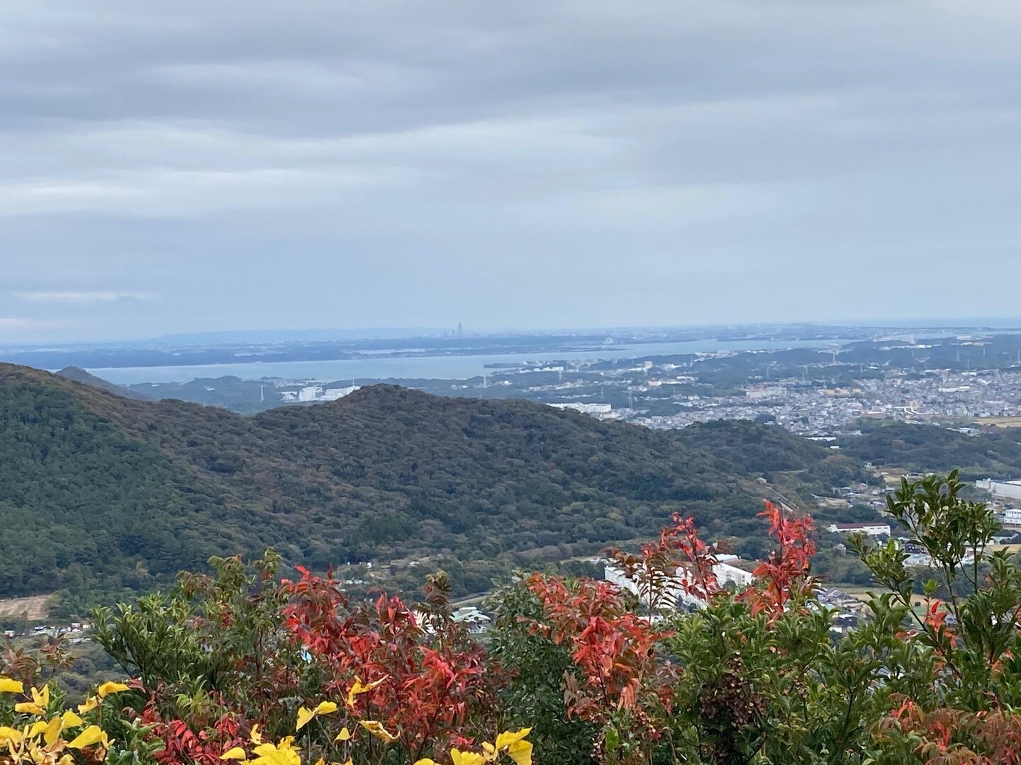 東山 / Tigerさんの坊ヶ峰・石巻山・神石山・葦毛湿原の活動データ | YAMAP / ヤマップ