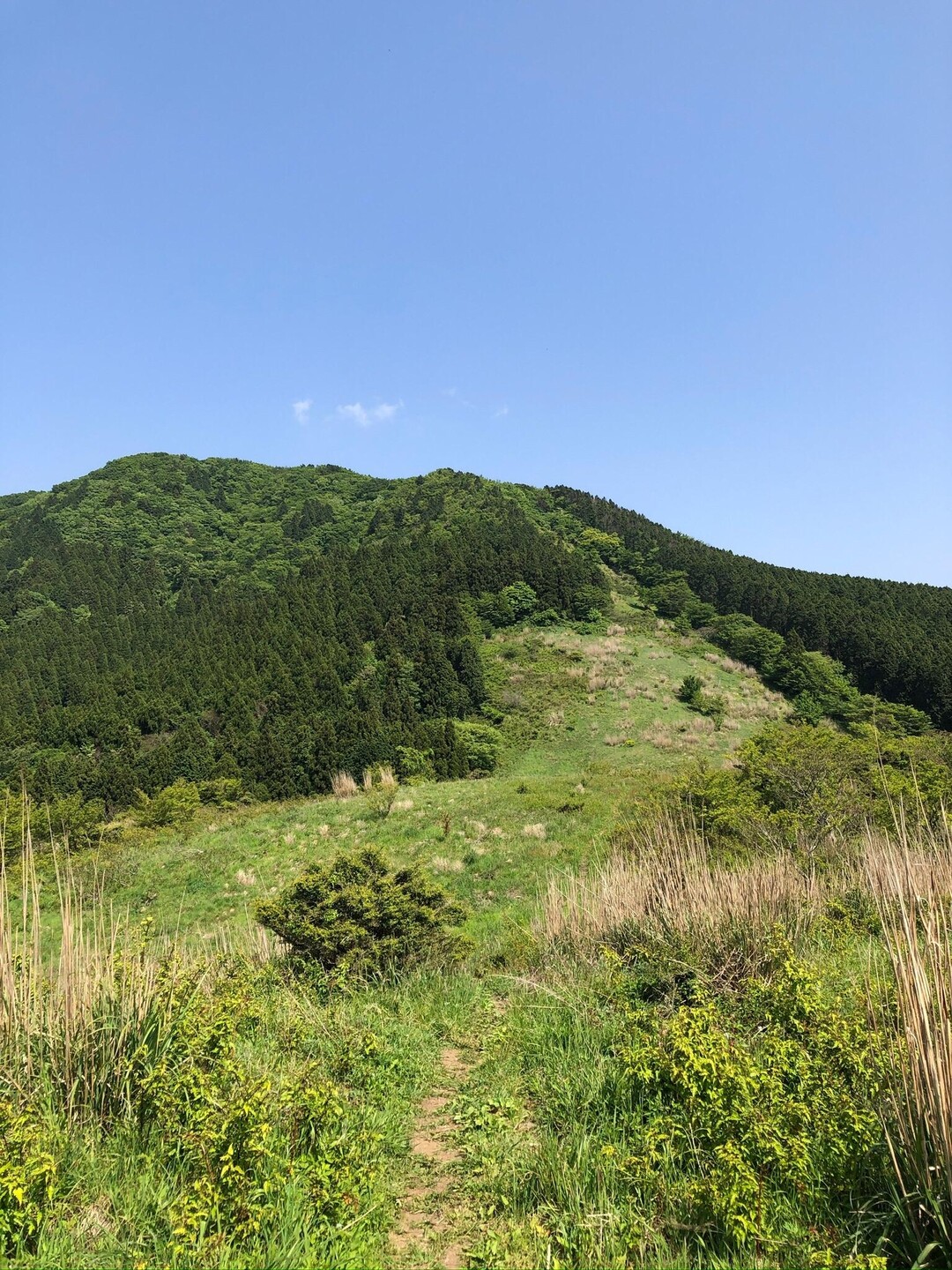 雷山 / 84Bさんの雷山・井原山の活動データ | YAMAP / ヤマップ