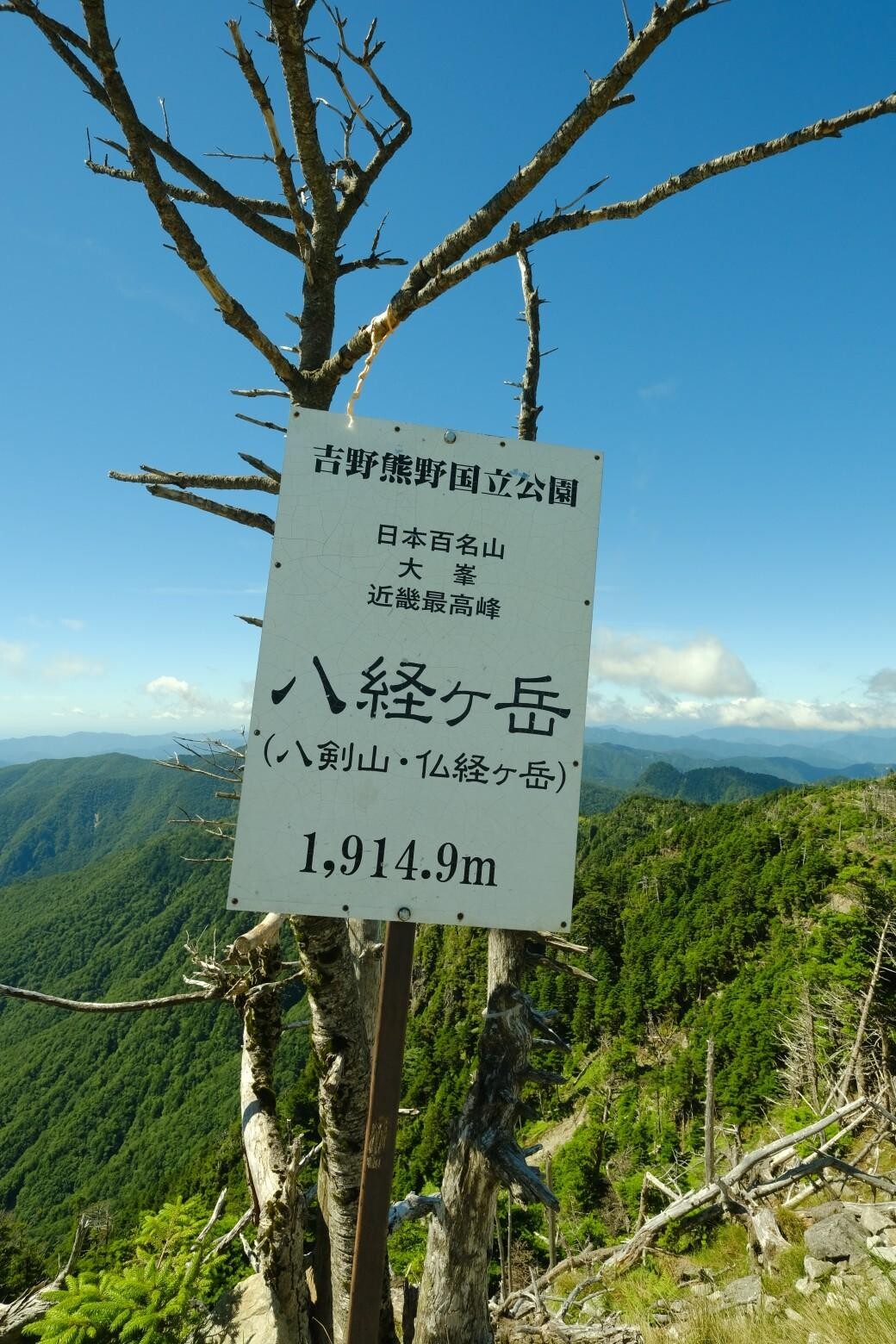 八経ヶ岳-2024-07-23 / toyo.outdoor.photoさんの八経ヶ岳の活動データ | YAMAP / ヤマップ