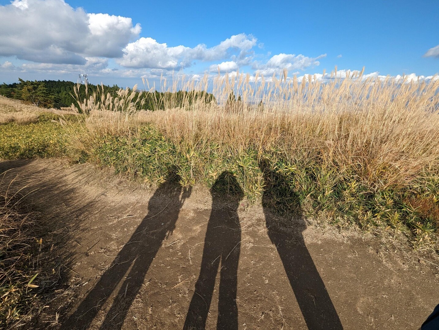 大和葛城山 / koke（苔）さんの葛城修験エリアマップ（二上山周辺）の活動データ | YAMAP / ヤマップ