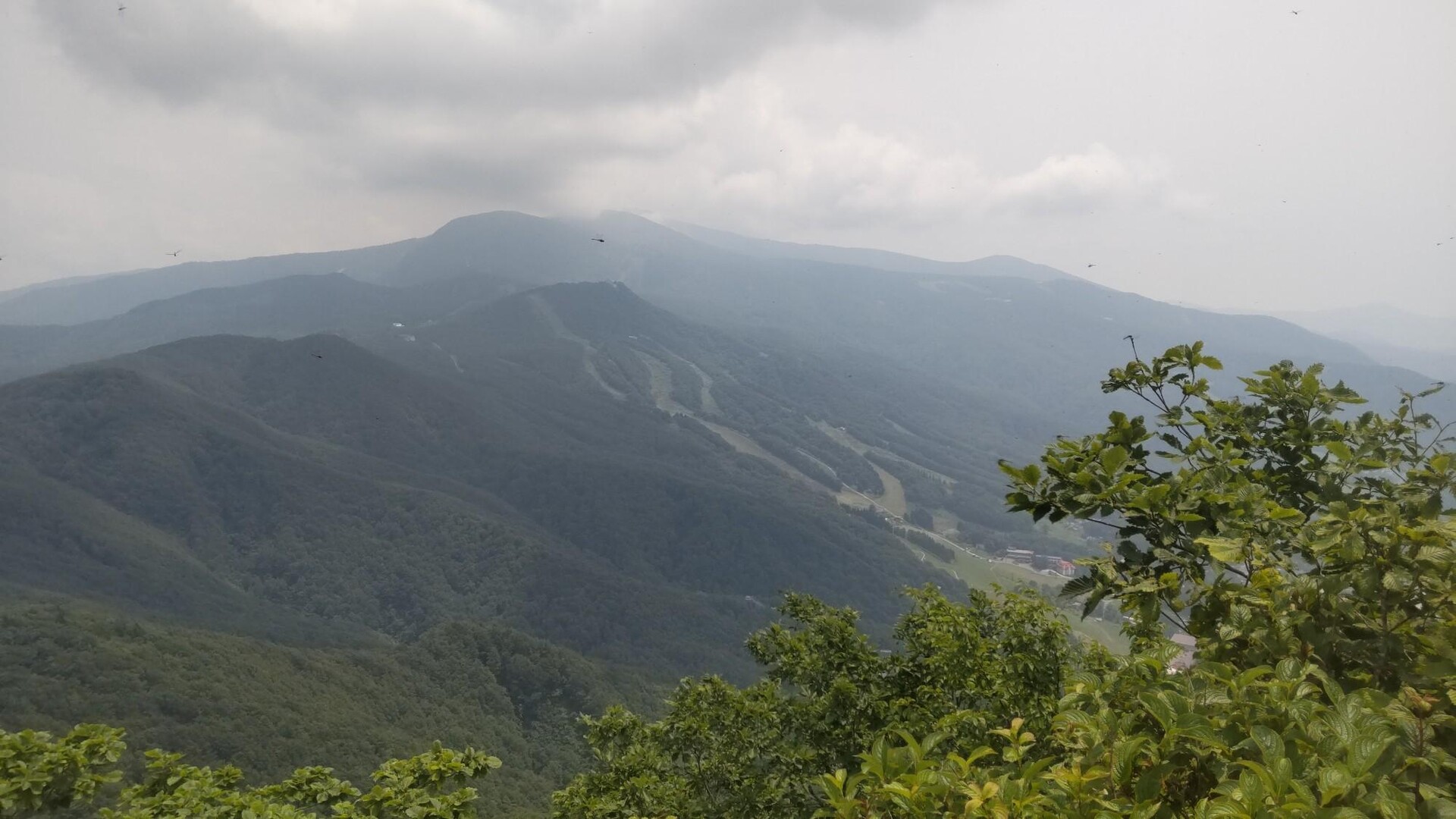 トレーニング瀧山 / zaomonsさんの蔵王山・雁戸山・不忘山の活動データ | YAMAP / ヤマップ