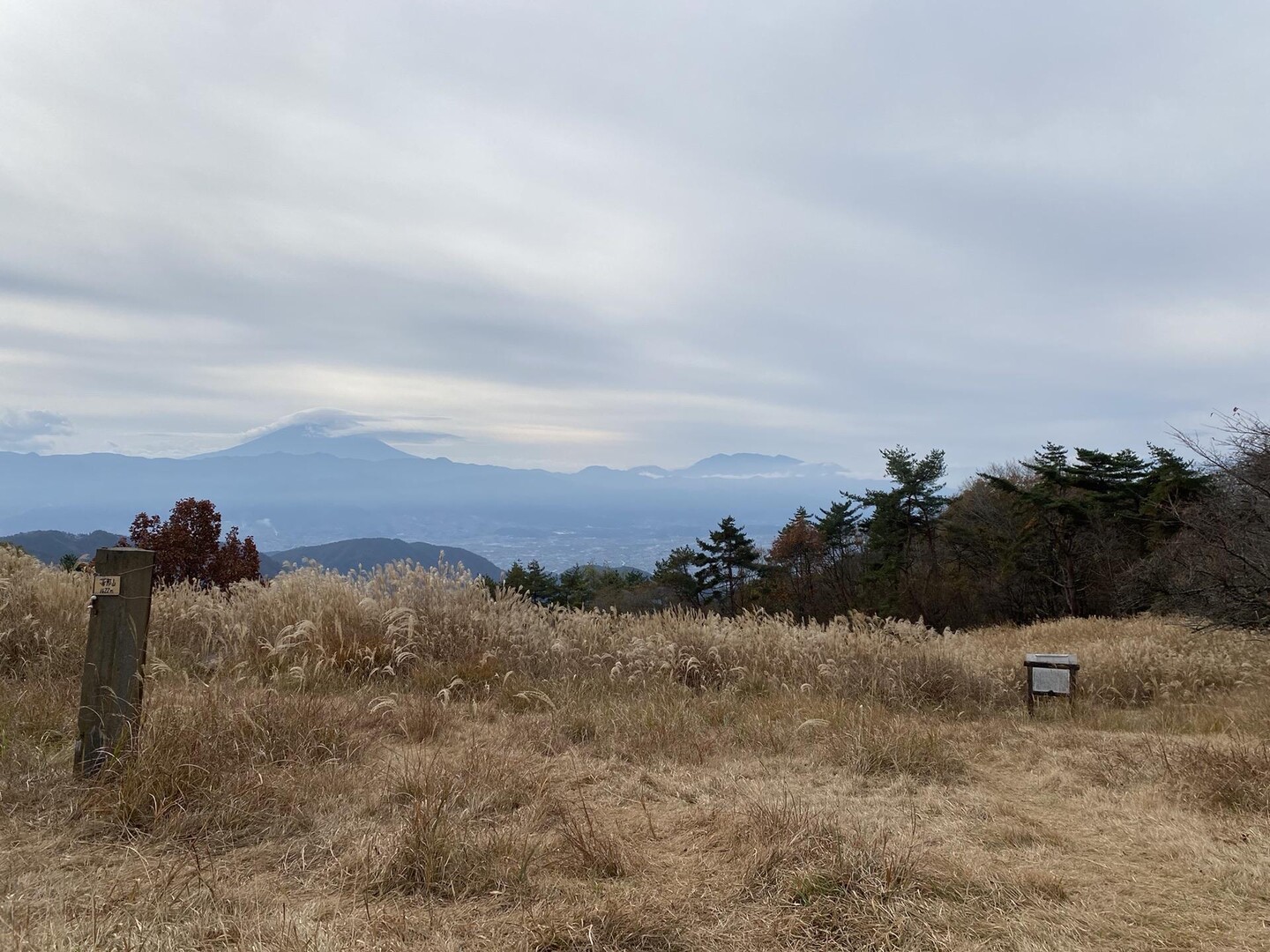 帯那山【やまなし県央2023’’山’’】 / もくさんの帯那山の活動データ | YAMAP / ヤマップ