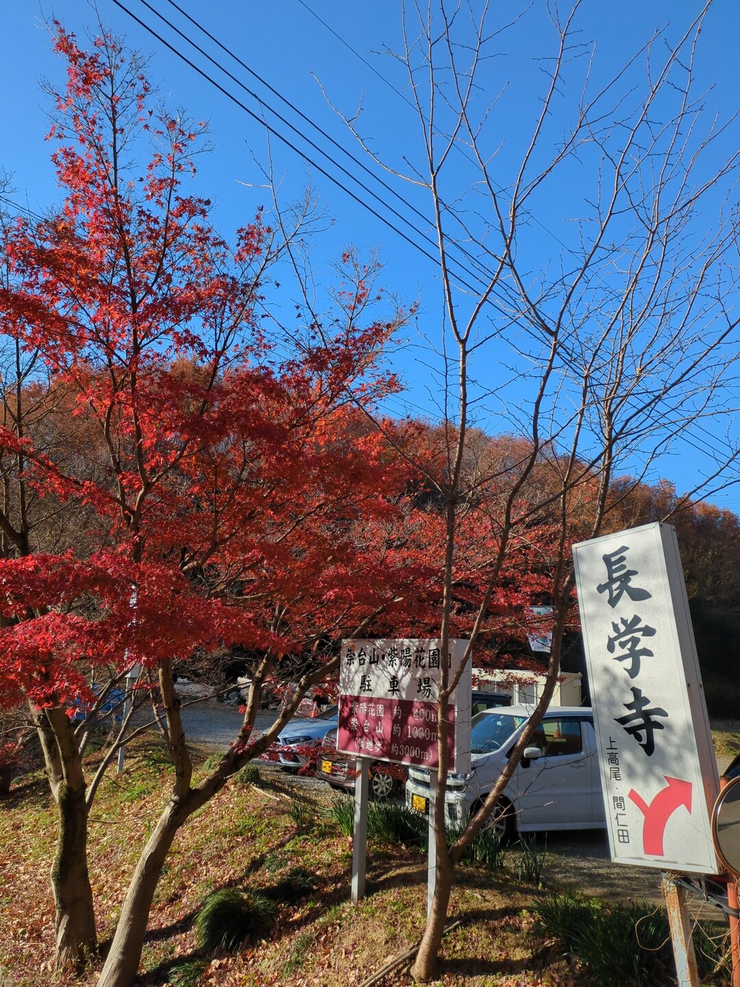 崇台山 / reoさんの崇台山の活動データ | YAMAP / ヤマップ