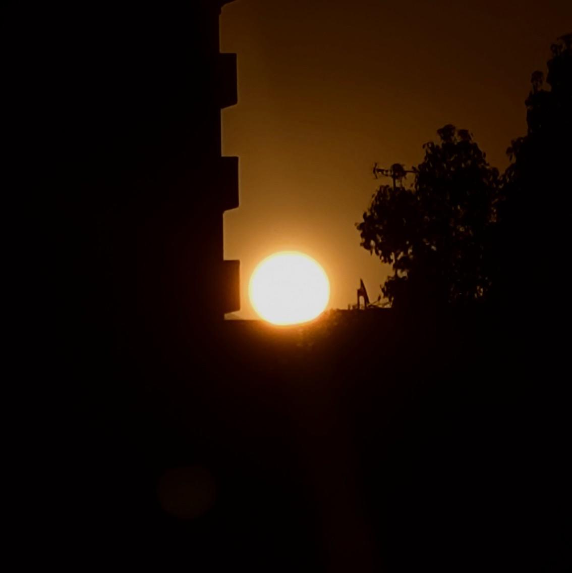 Dog morning 🕗️ & Ha... / もみじ🐺 & パパ😎さんのモーメント | YAMAP / ヤマップ