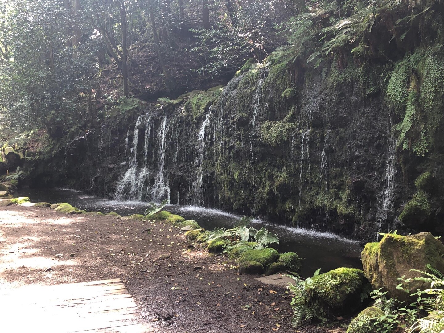 鷹巣山・浅間山・城山(箱根町)・湯坂山 / ryouさんの箱根山・神山の活動データ | YAMAP / ヤマップ