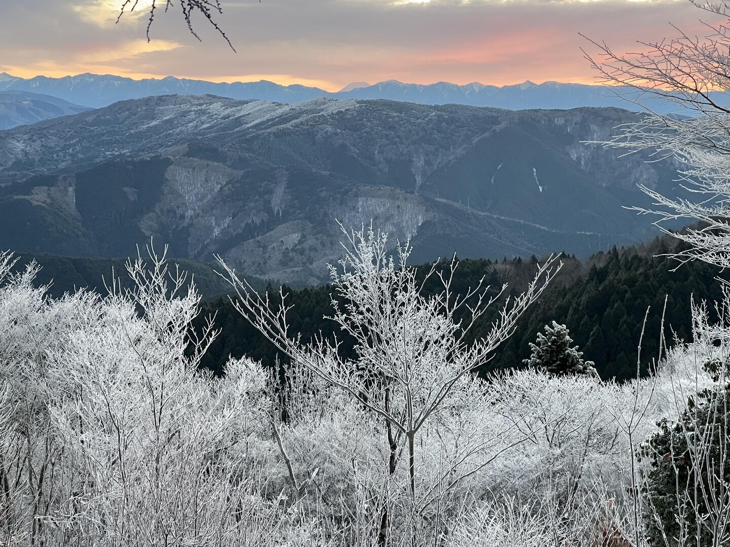 登り納めの寧比曽岳 / harusan ~さんの寧比曽岳・筈ヶ岳・出来山の活動データ | YAMAP / ヤマップ