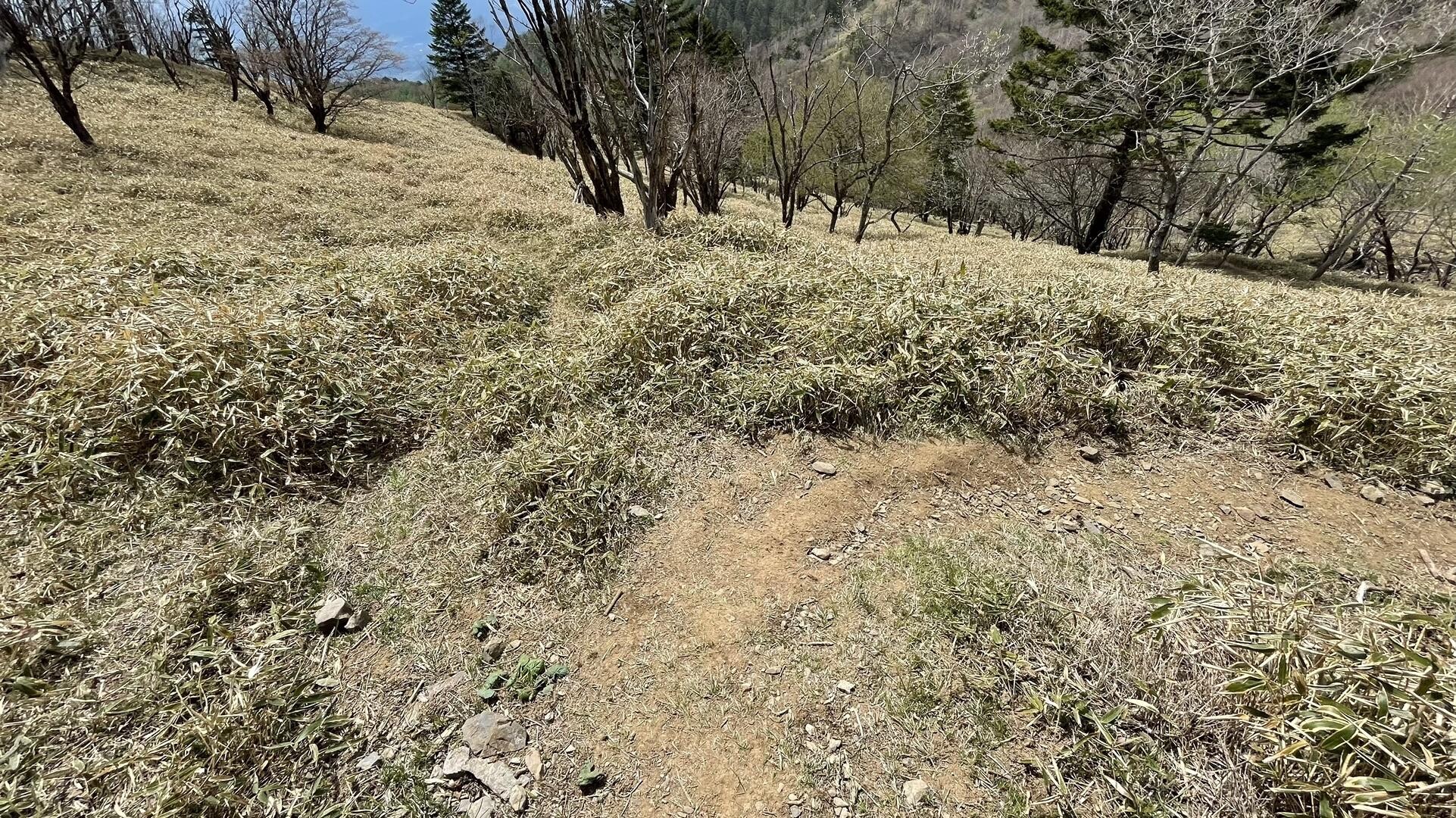 KSさんの投稿したフィールドメモ | YAMAP / ヤマップ