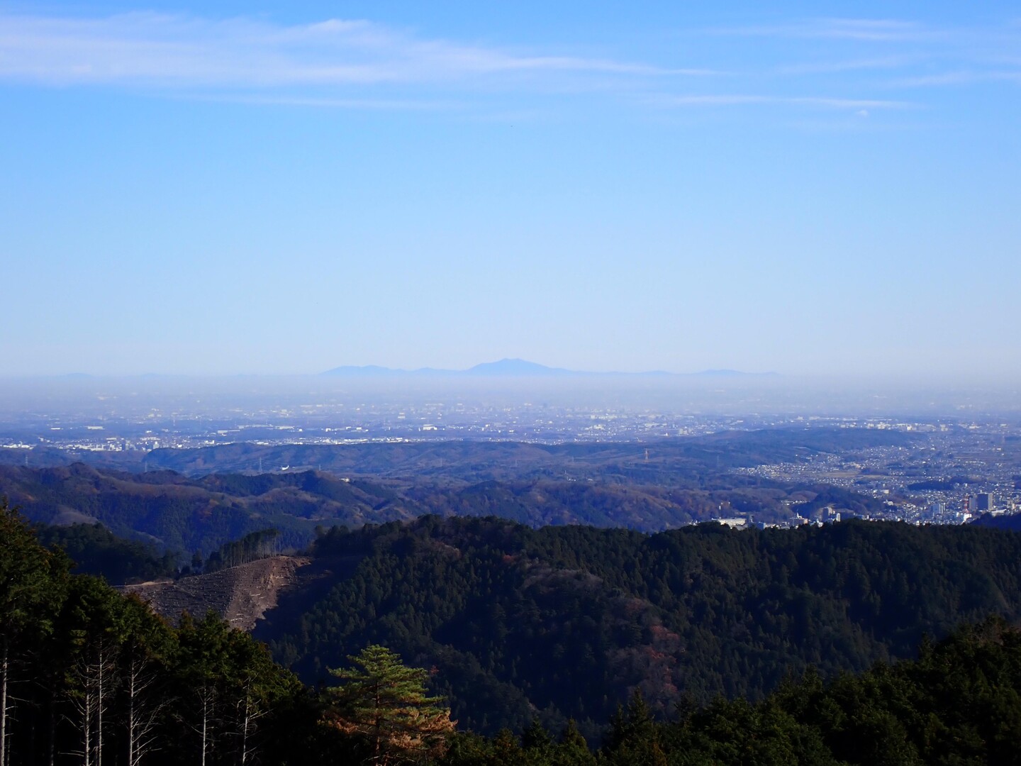金比羅山・南沢山・タルクボ峰・麻生山・日の出山・御岳山 / rioさんの大岳山・御岳山・御前山の活動データ | YAMAP / ヤマップ