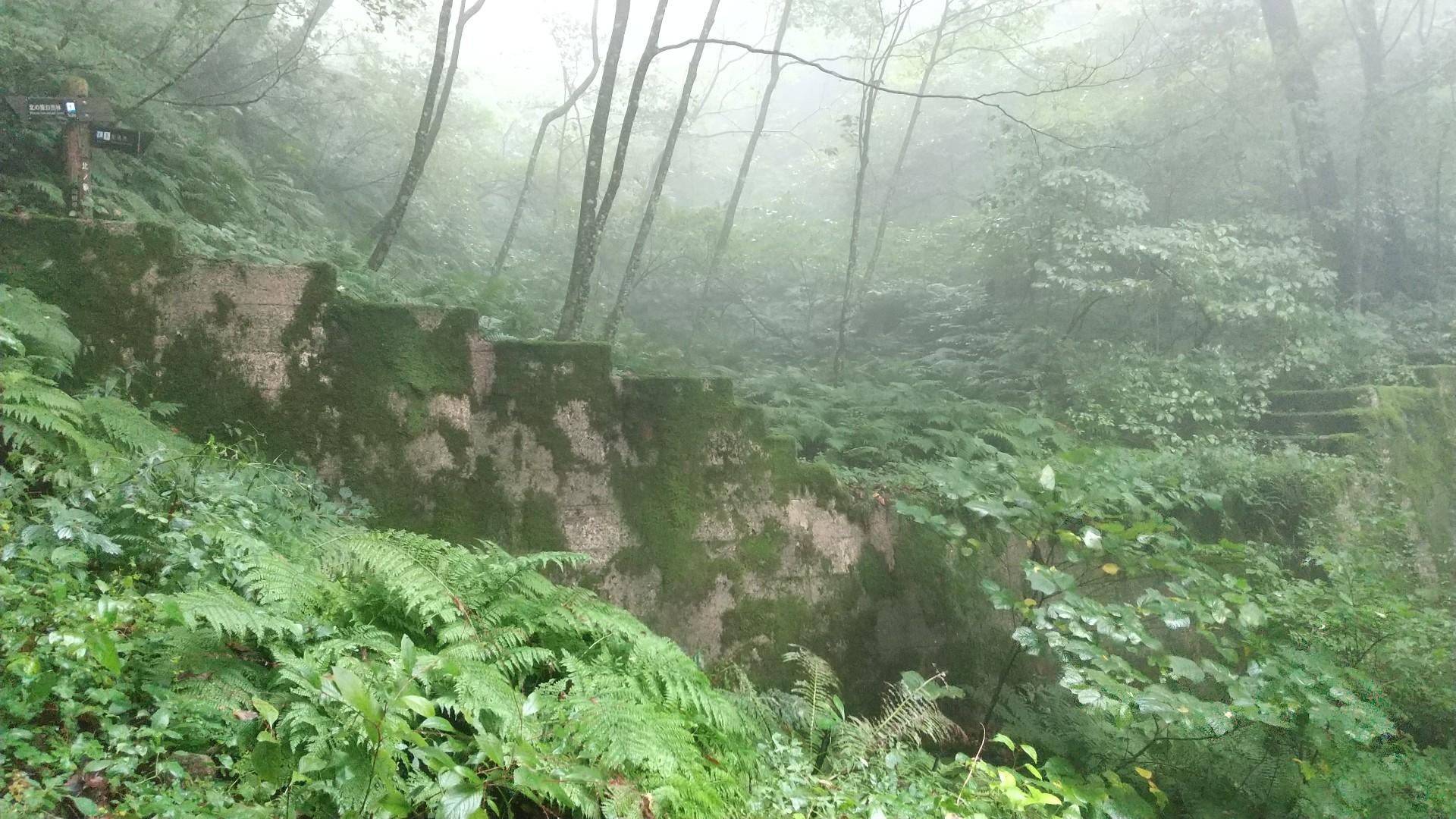 男三瓶山（三瓶山）・赤雁山・子三瓶山・孫三瓶山・大平山・女三瓶山・兜山 / potchyさんの三瓶山・大平山の活動データ | YAMAP / ヤマップ