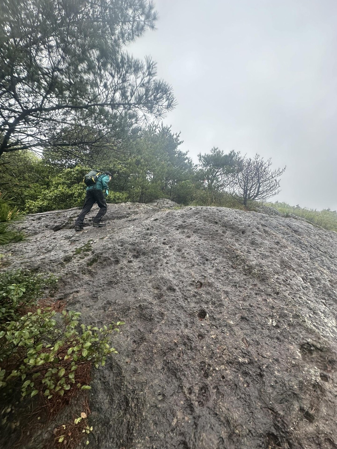 平田アルプス🍃鍋池山•大船山 / SKYさんの大船山・鍋池山の活動日記 | YAMAP / ヤマップ