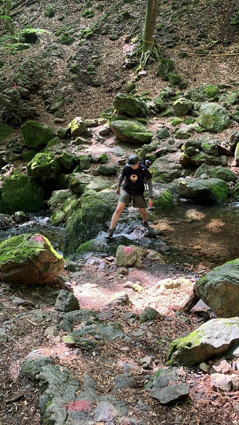 両神山 / i.shunさんの両神山・諏訪山・二子山の活動データ | YAMAP / ヤマップ