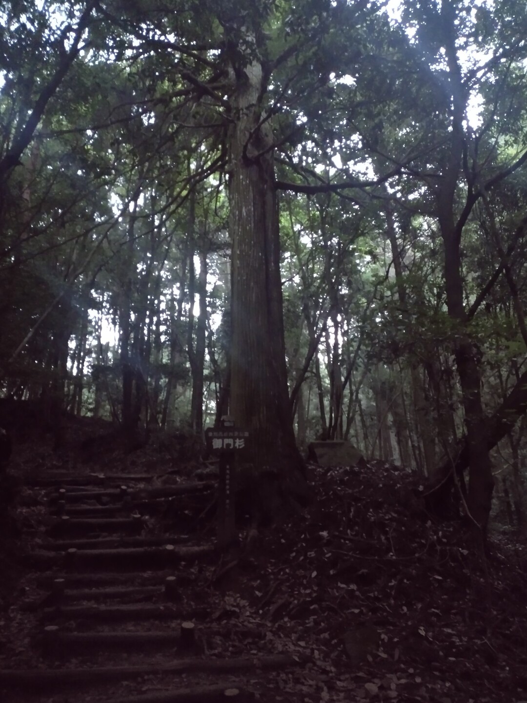 今日は第2のホーム 猿投山⛰️です。 既... / sin-yaさんのモーメント | YAMAP / ヤマップ