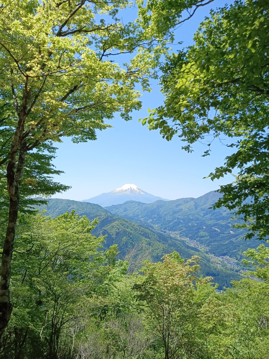 鳥ノ胸山・秋葉山（VRルート） / yukkyさんの大室山・畦ヶ丸山・菰釣山の活動データ | YAMAP / ヤマップ