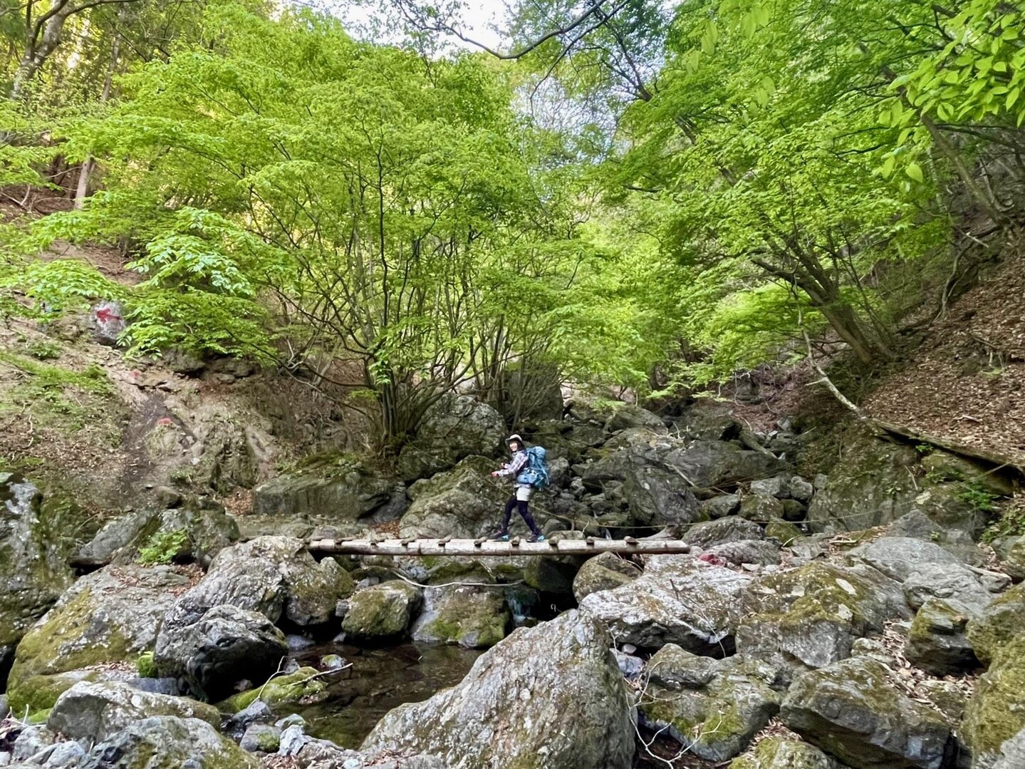 新緑の両神山 / komariさんの両神山・諏訪山・二子山の活動データ | YAMAP / ヤマップ