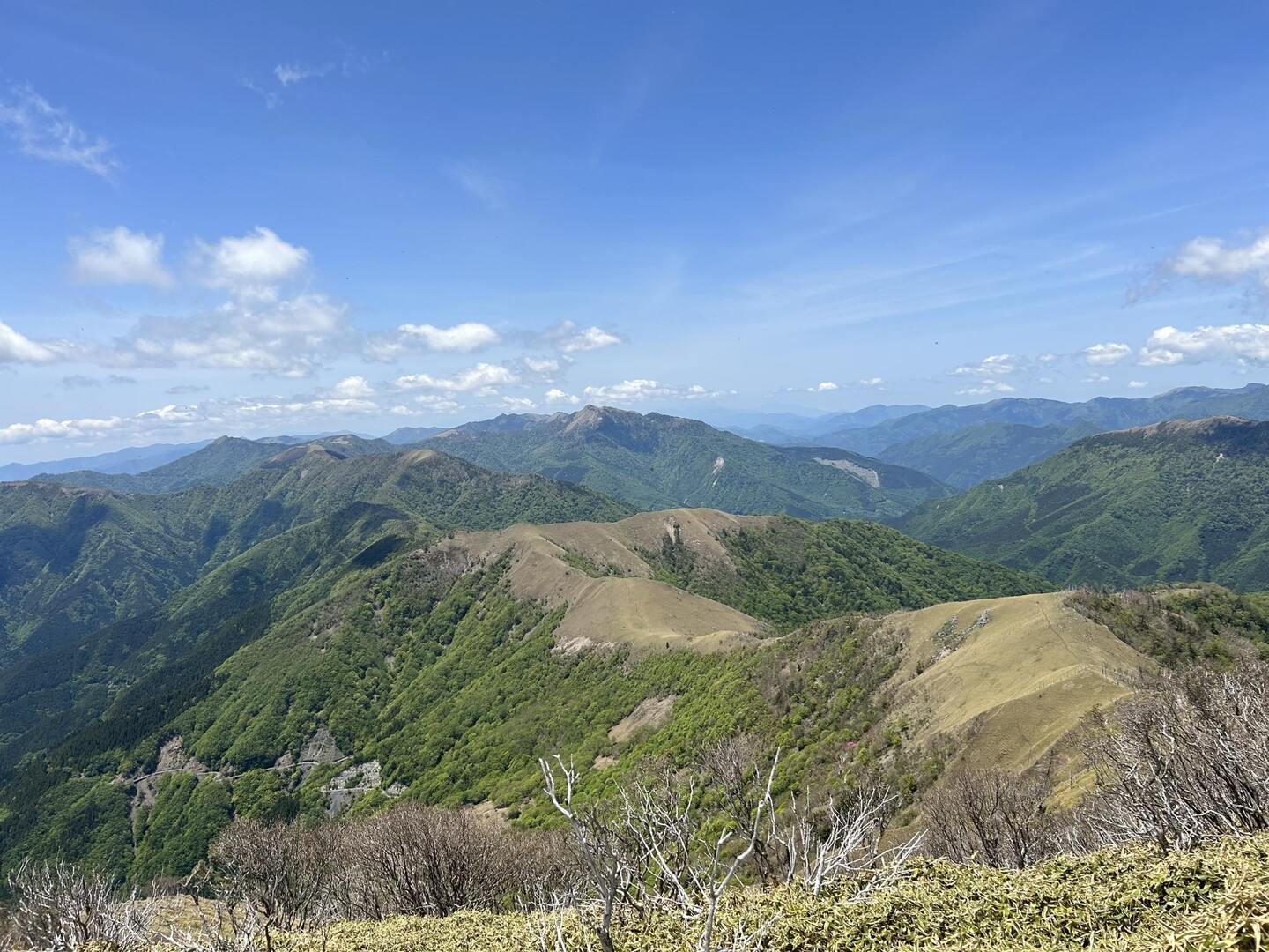 三嶺・白髪山・次郎笈・剣山(名頃登山口から) / Thomasさんの三嶺・天狗塚・石立山の活動データ | YAMAP / ヤマップ