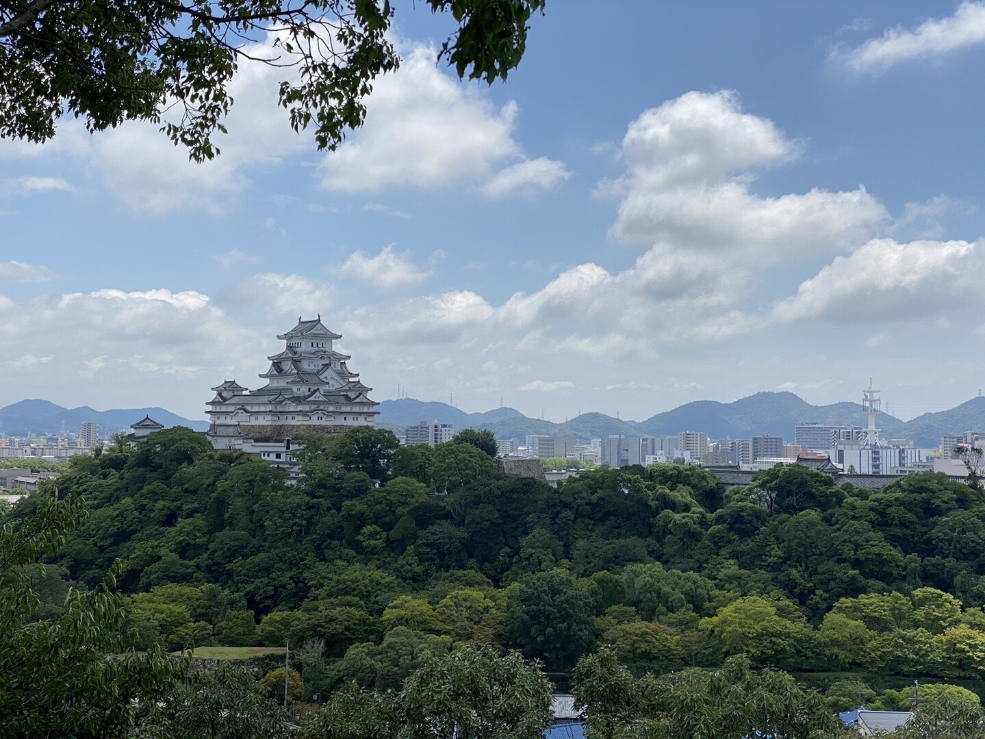 男山-2022-08-18 / さぼさんの八丈岩山の活動データ | YAMAP / ヤマップ