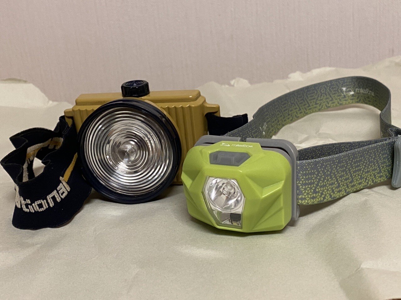 世代交代。 Nationalからmile... / セキさんのモーメント | YAMAP / ヤマップ