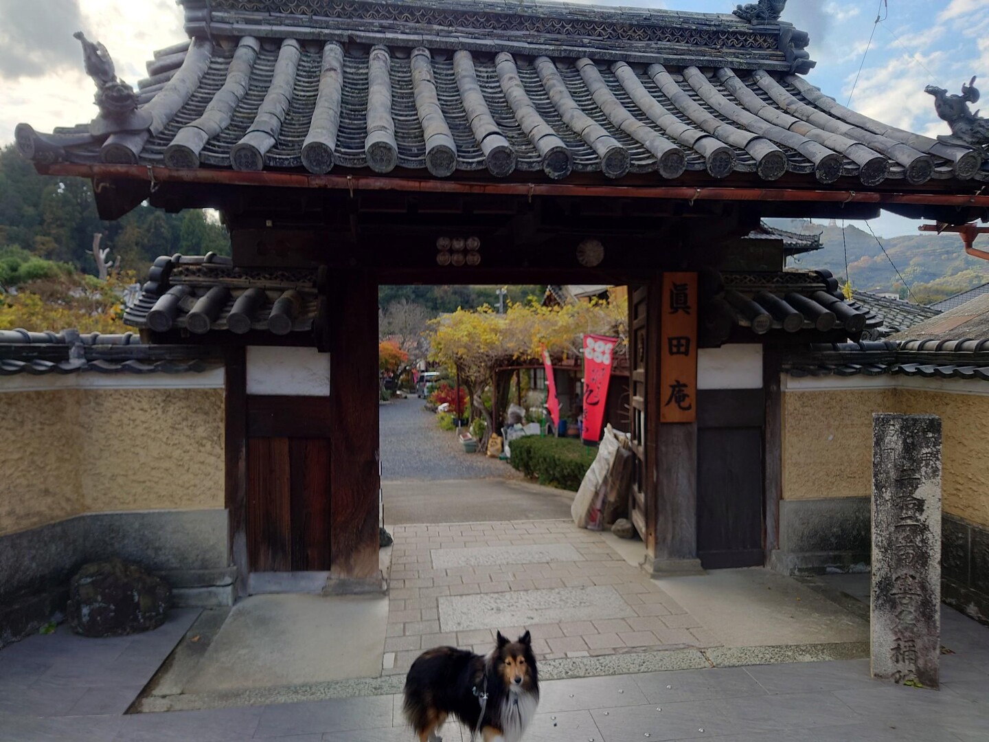 真田庵 / Teddyさんのモーメント | YAMAP / ヤマップ